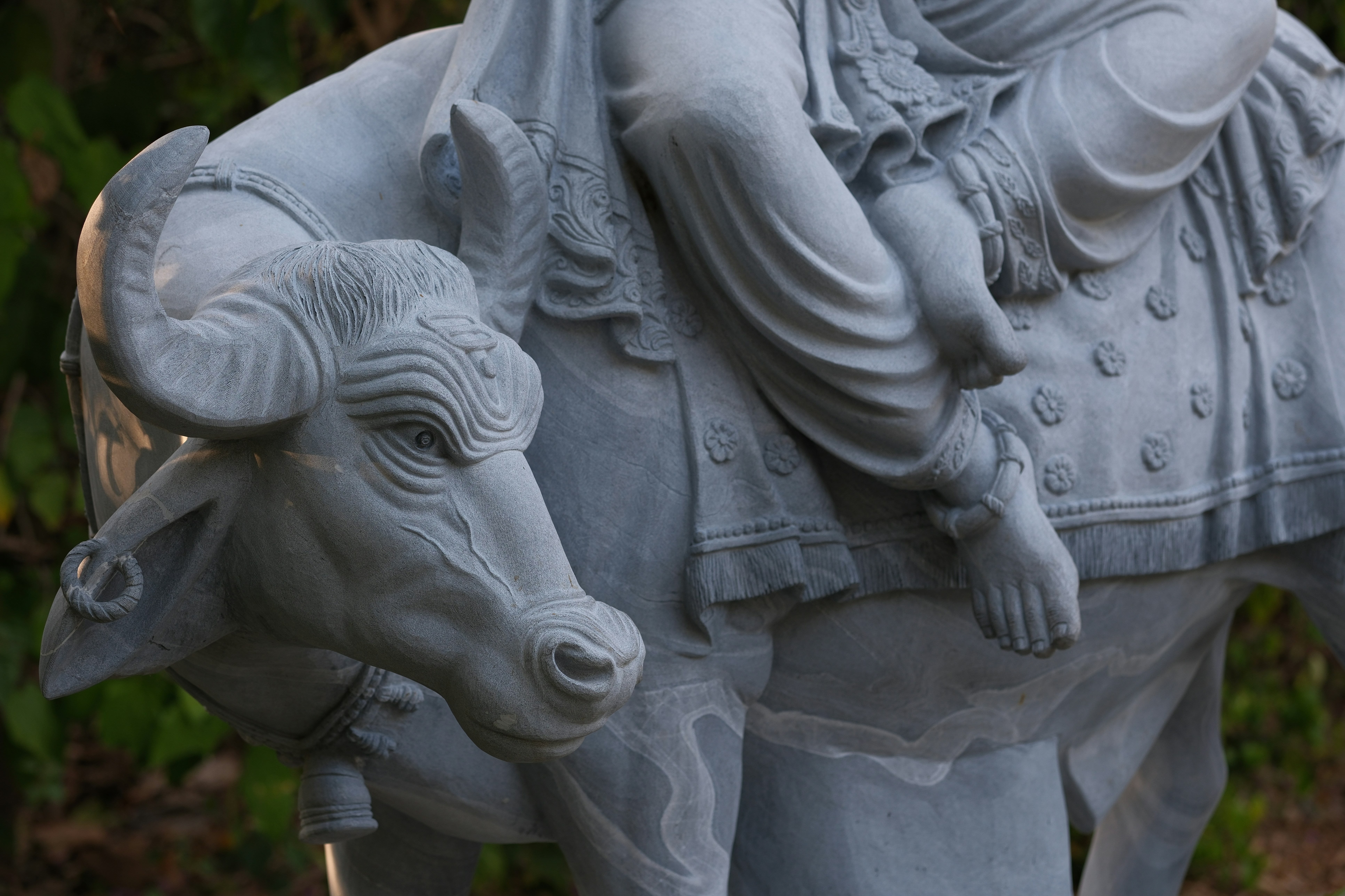 Photo by Dmitriy Sarychev with Fujifilm X-T5