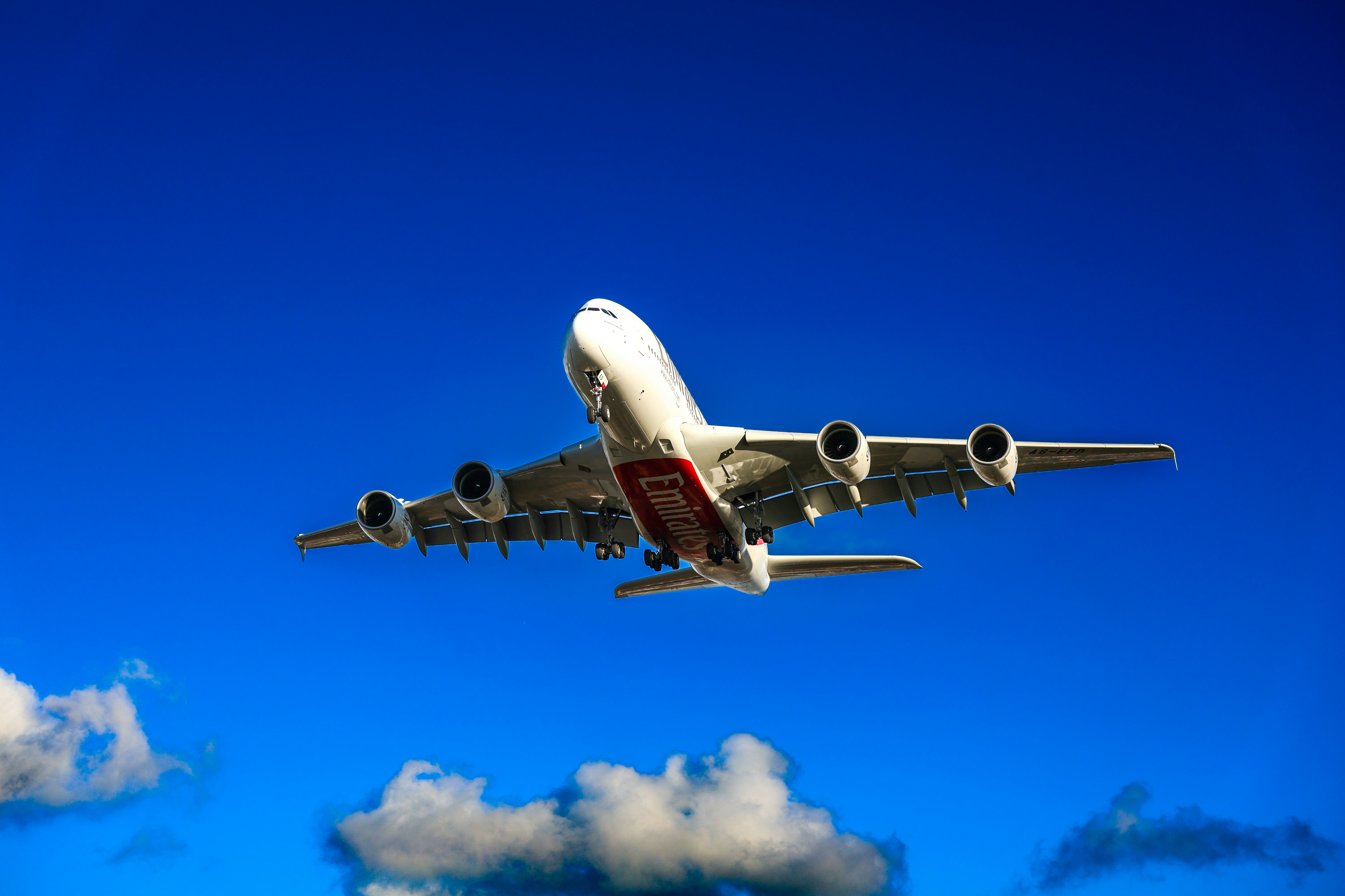 Photo by Ed Curthoys with Canon EOS R6 Mark II