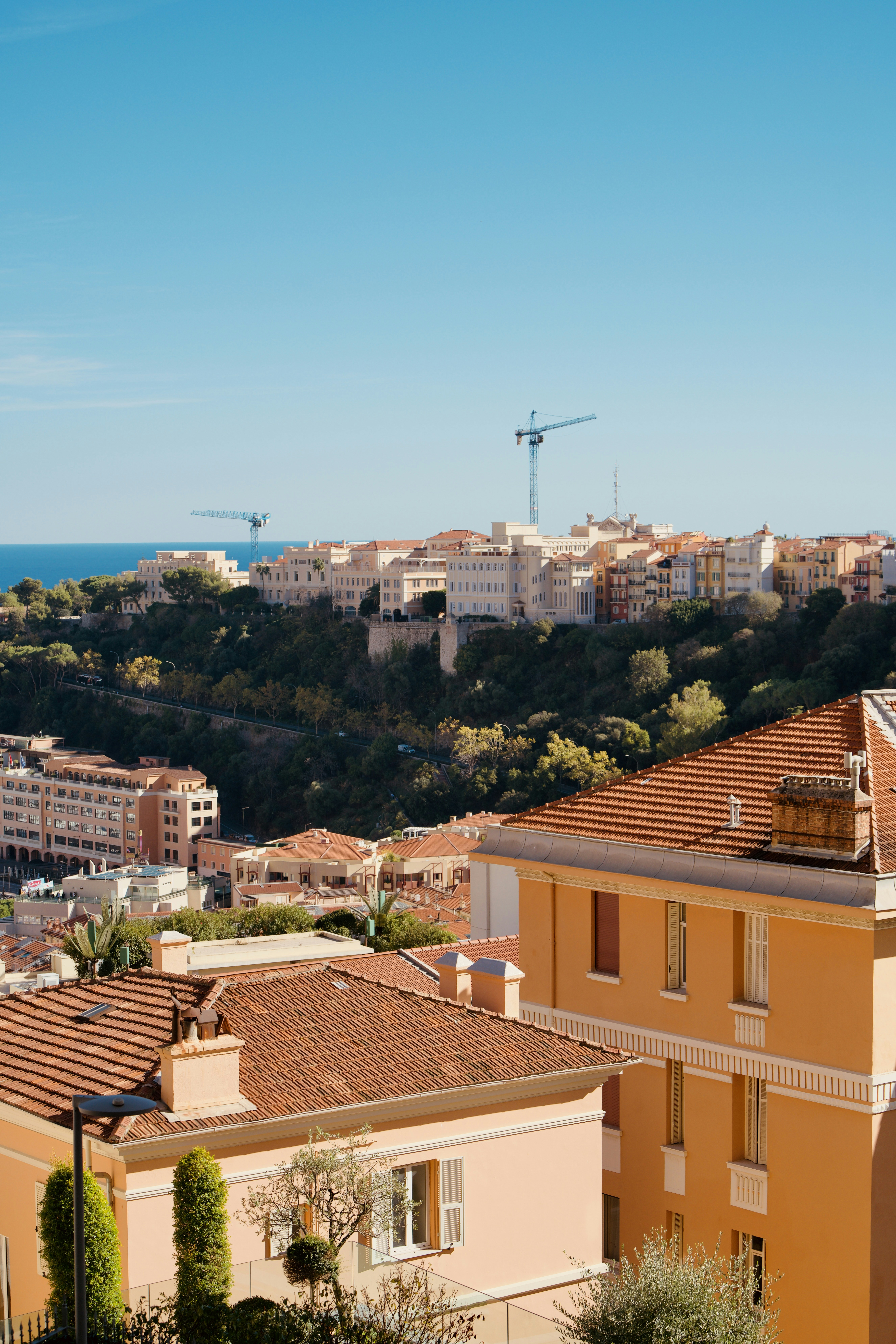 Photo by Garvit Nama with Sony Alpha 7R II