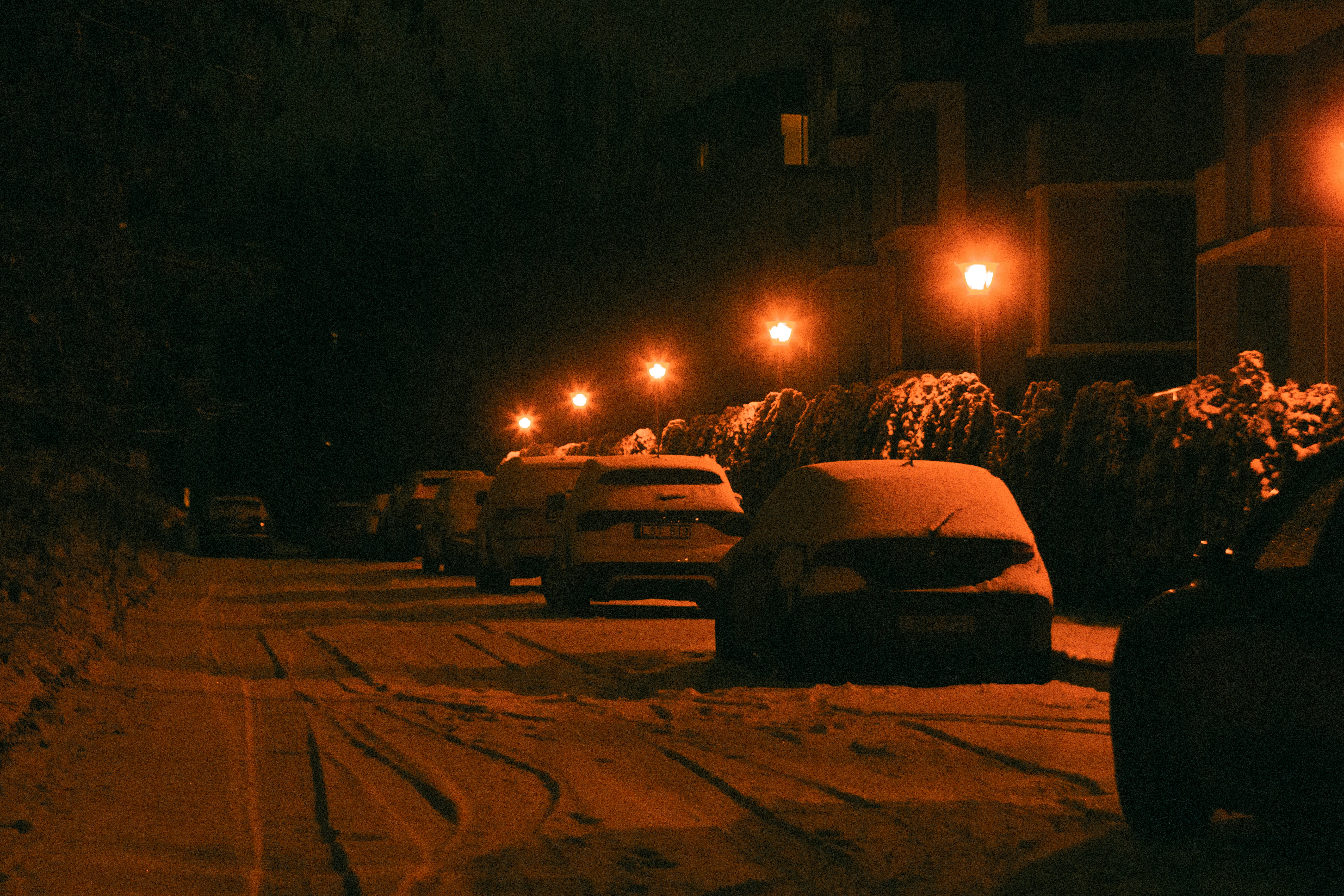 Photo by Alexander Kovalev with Canon EOS 250D