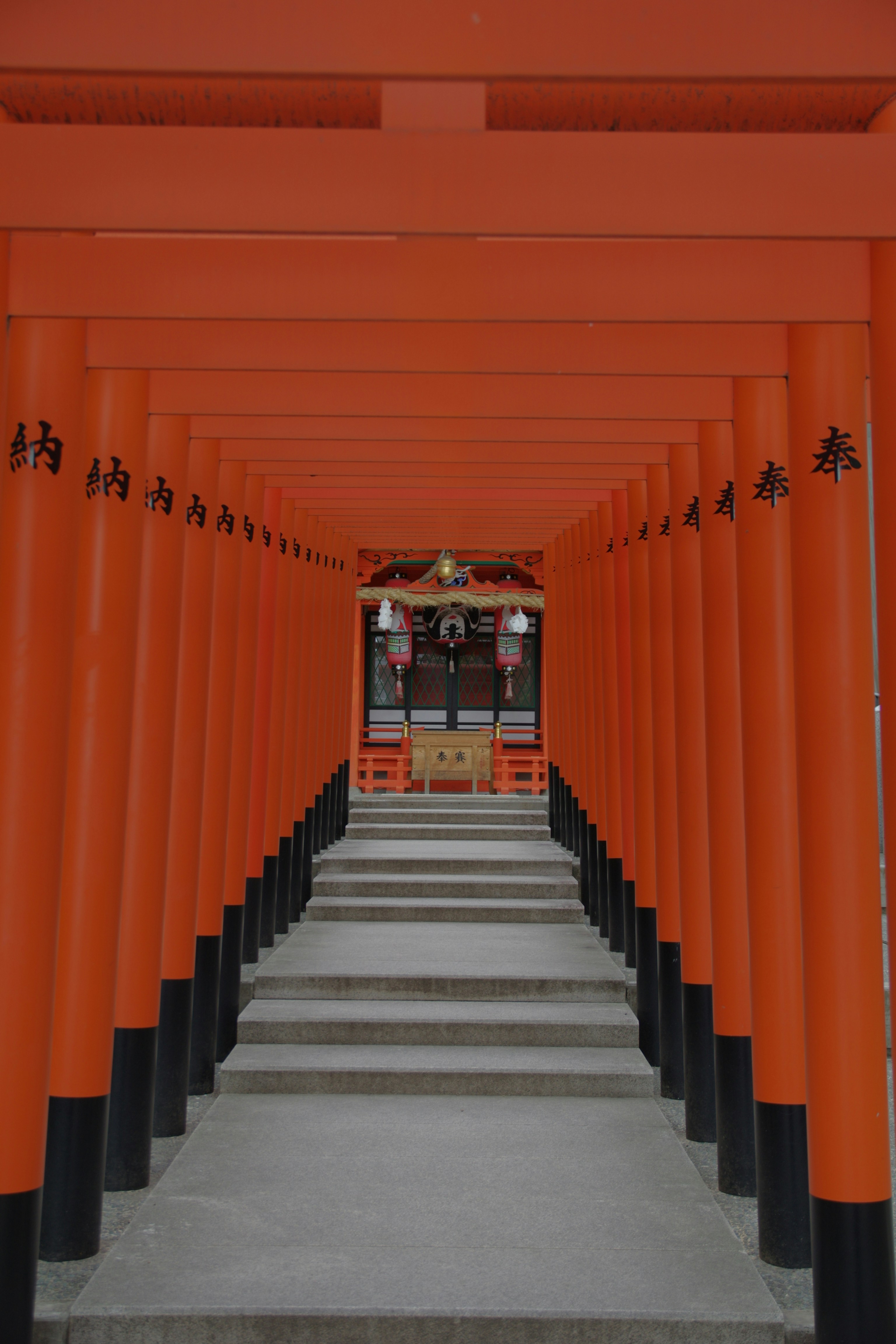 Japanese red torii gate