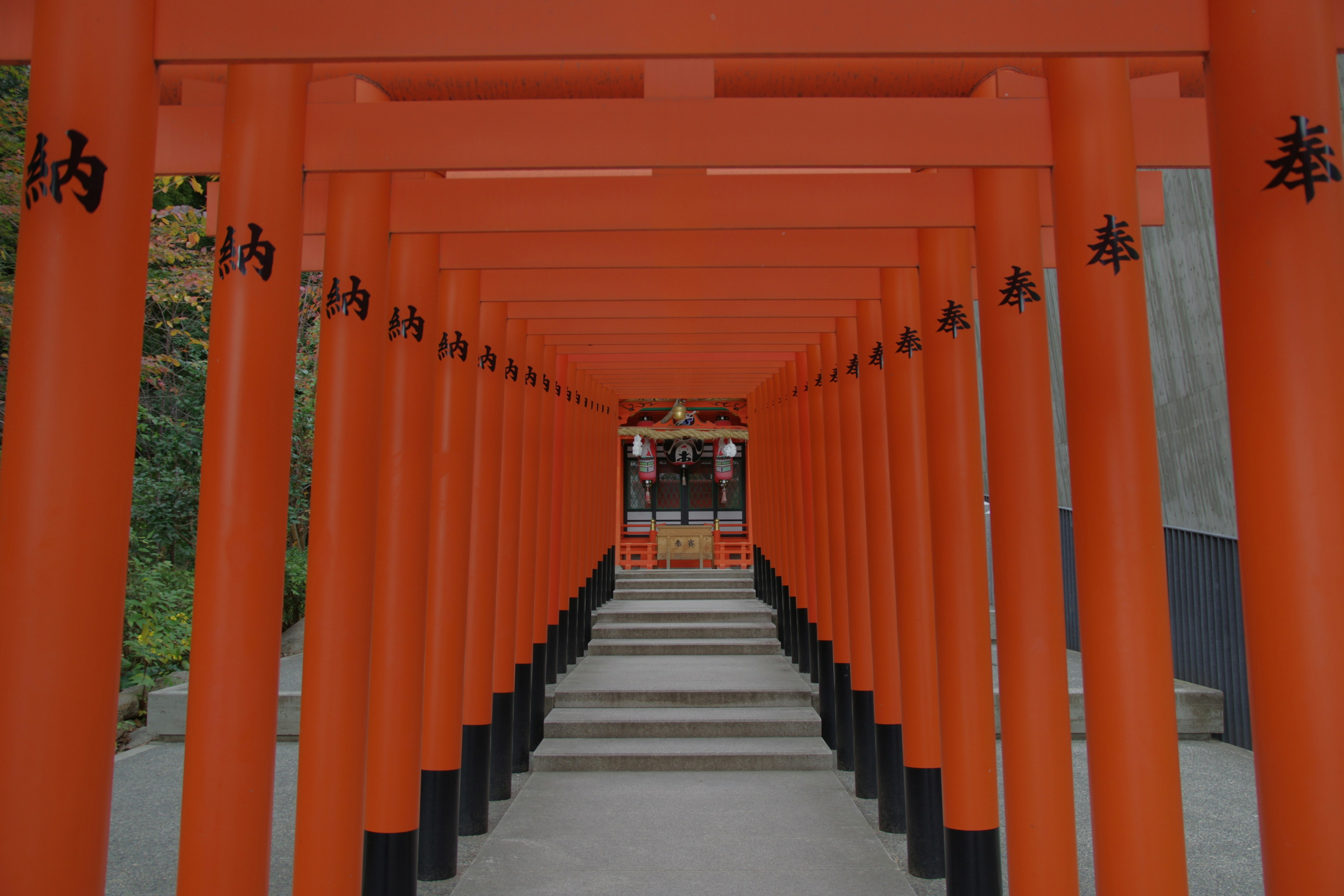 Japanese red torii gate