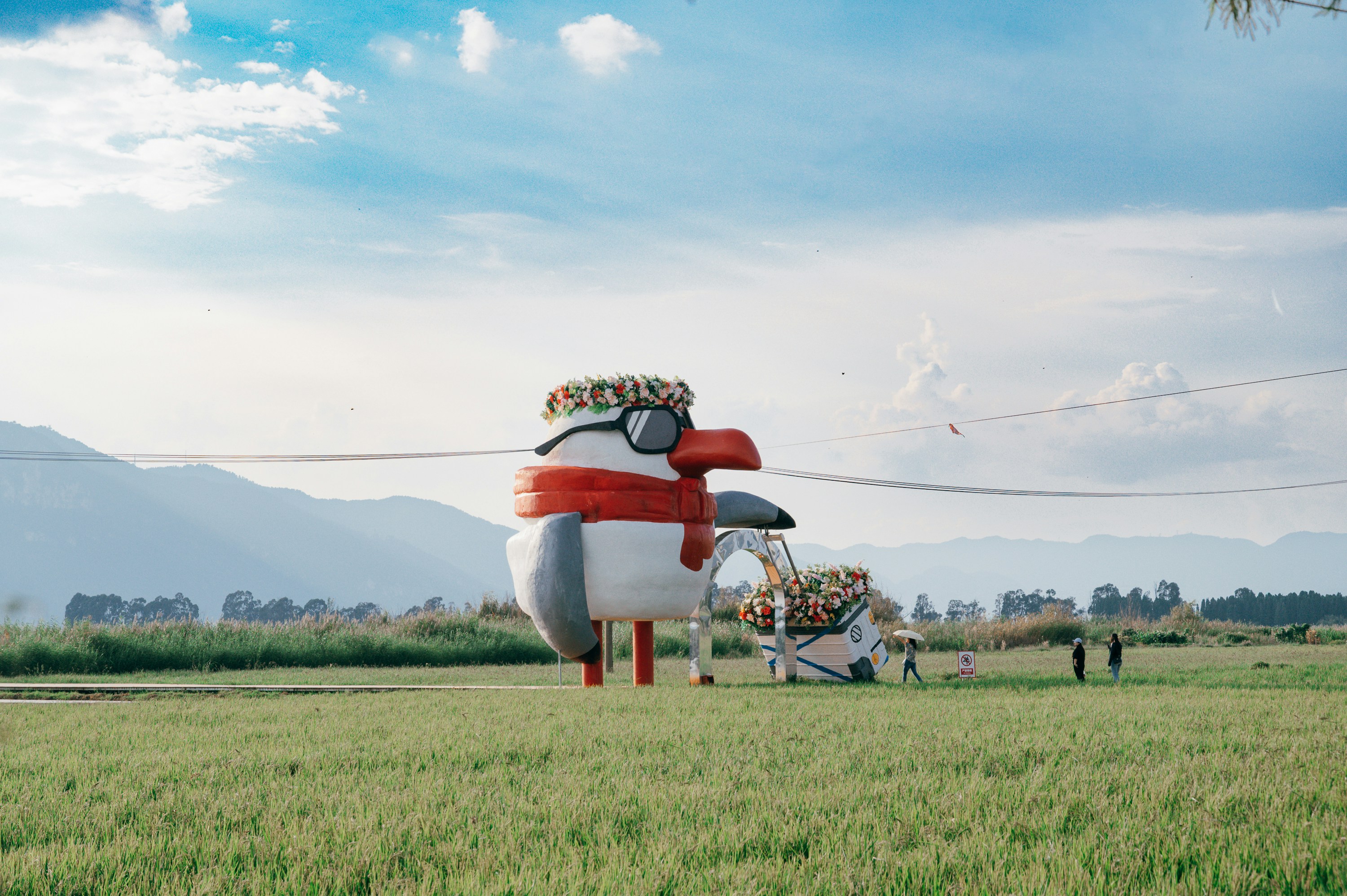 Photo by Vincent Tint with Nikon Z6 II