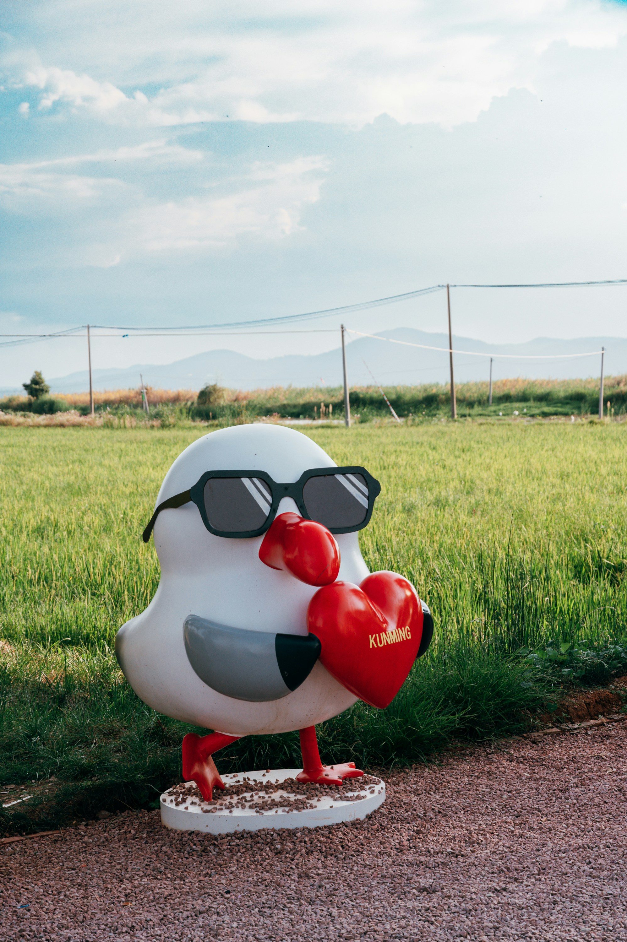 Photo by Vincent Tint with Nikon Z6 II