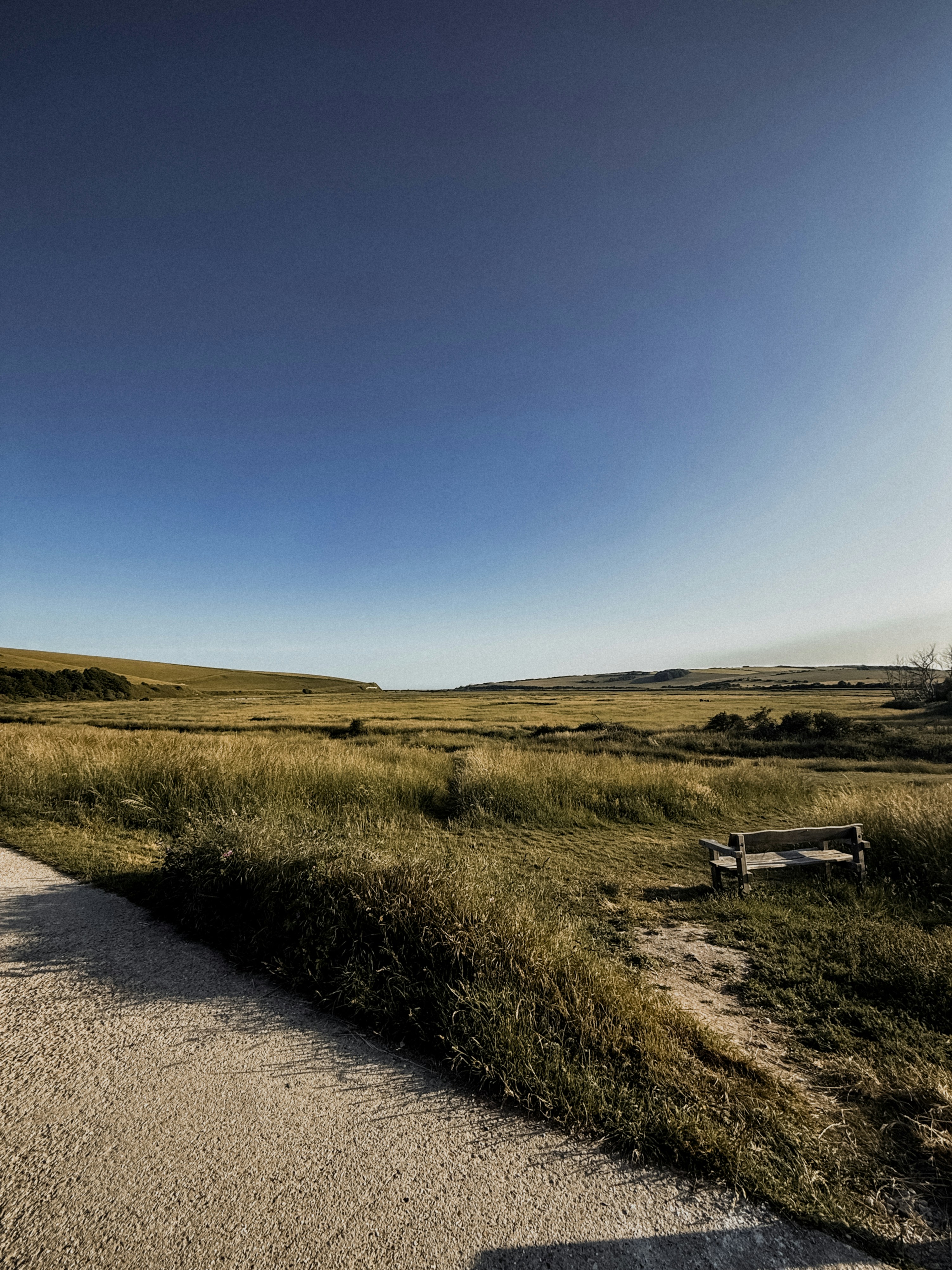 Photo by Abhishek Yadav with Apple iPhone 16 Pro