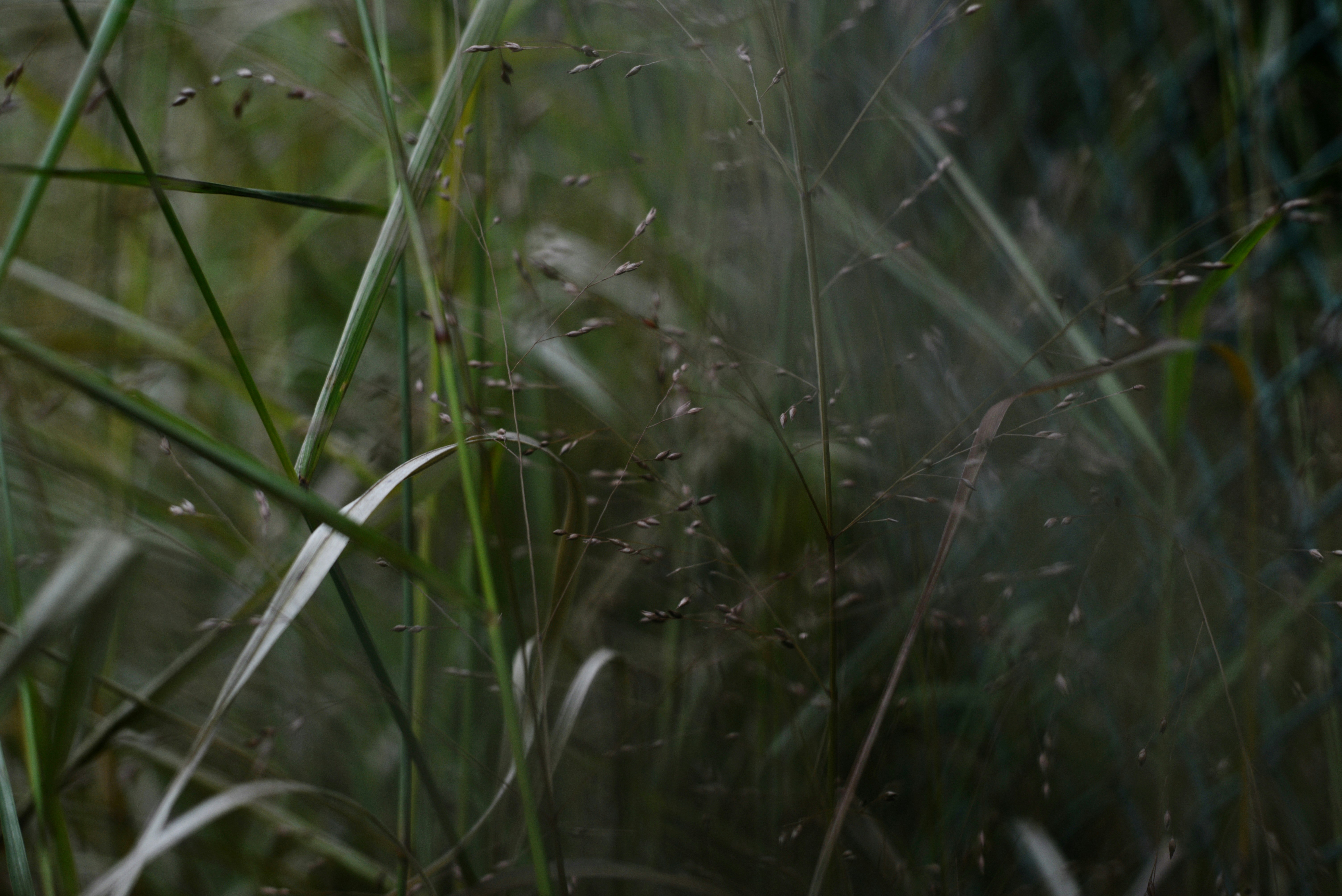 Photo by Liana S with Nikon D600