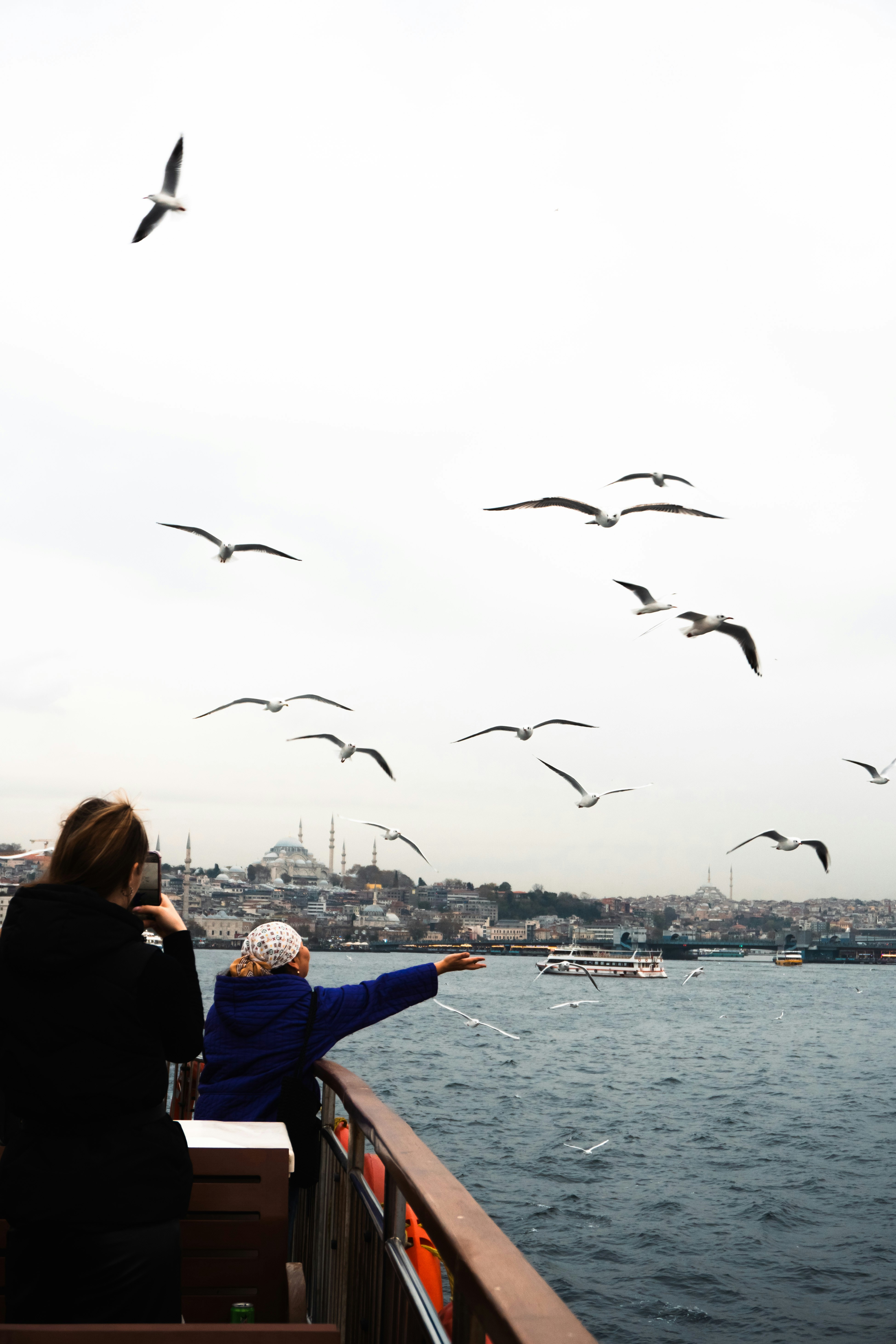Seagulls over the Bosphorus: A Moment by the Waterfront