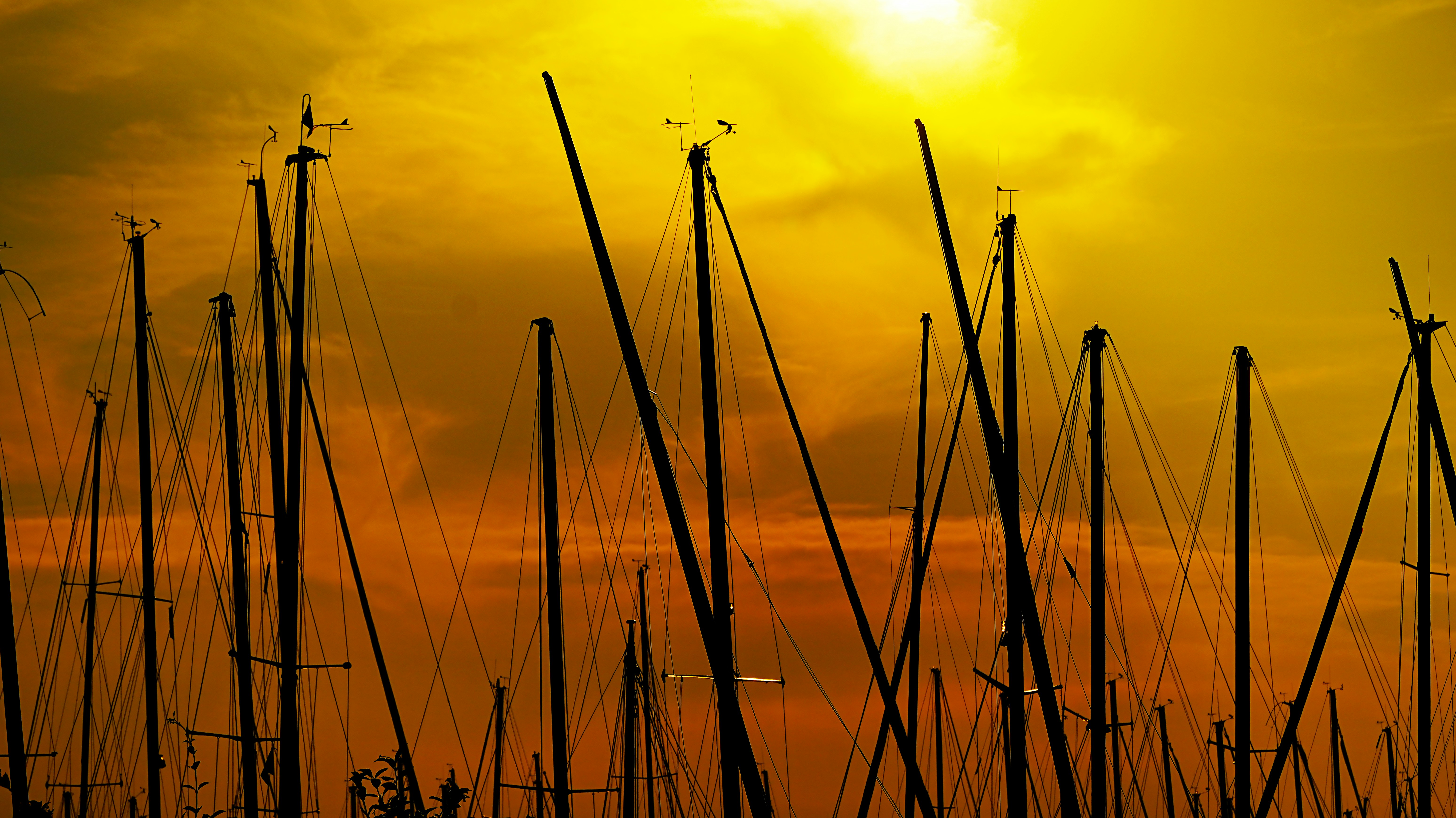 Photo by boris misevic with Sony Alpha 6700