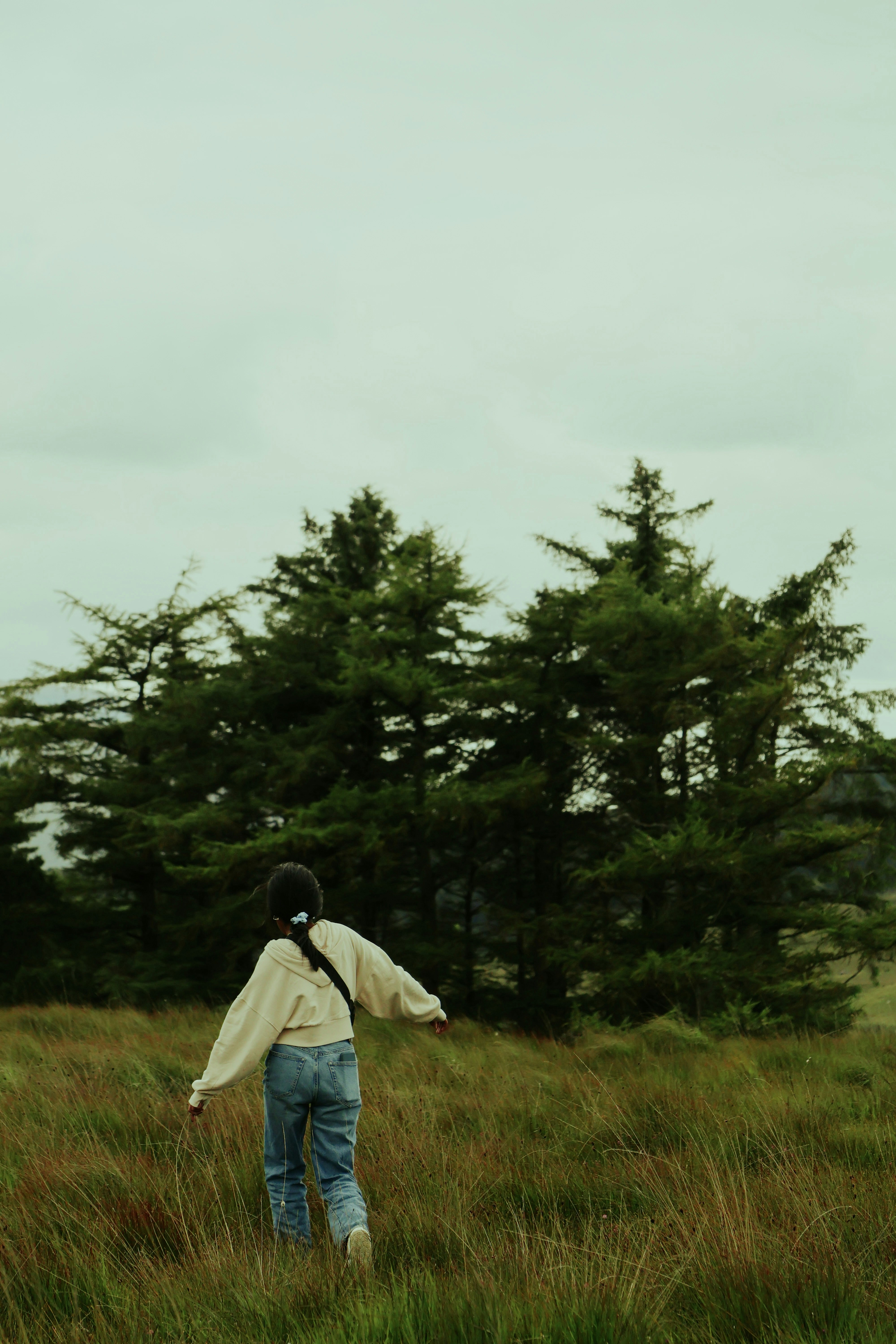 Photo by Athul Saji with Canon EOS R10