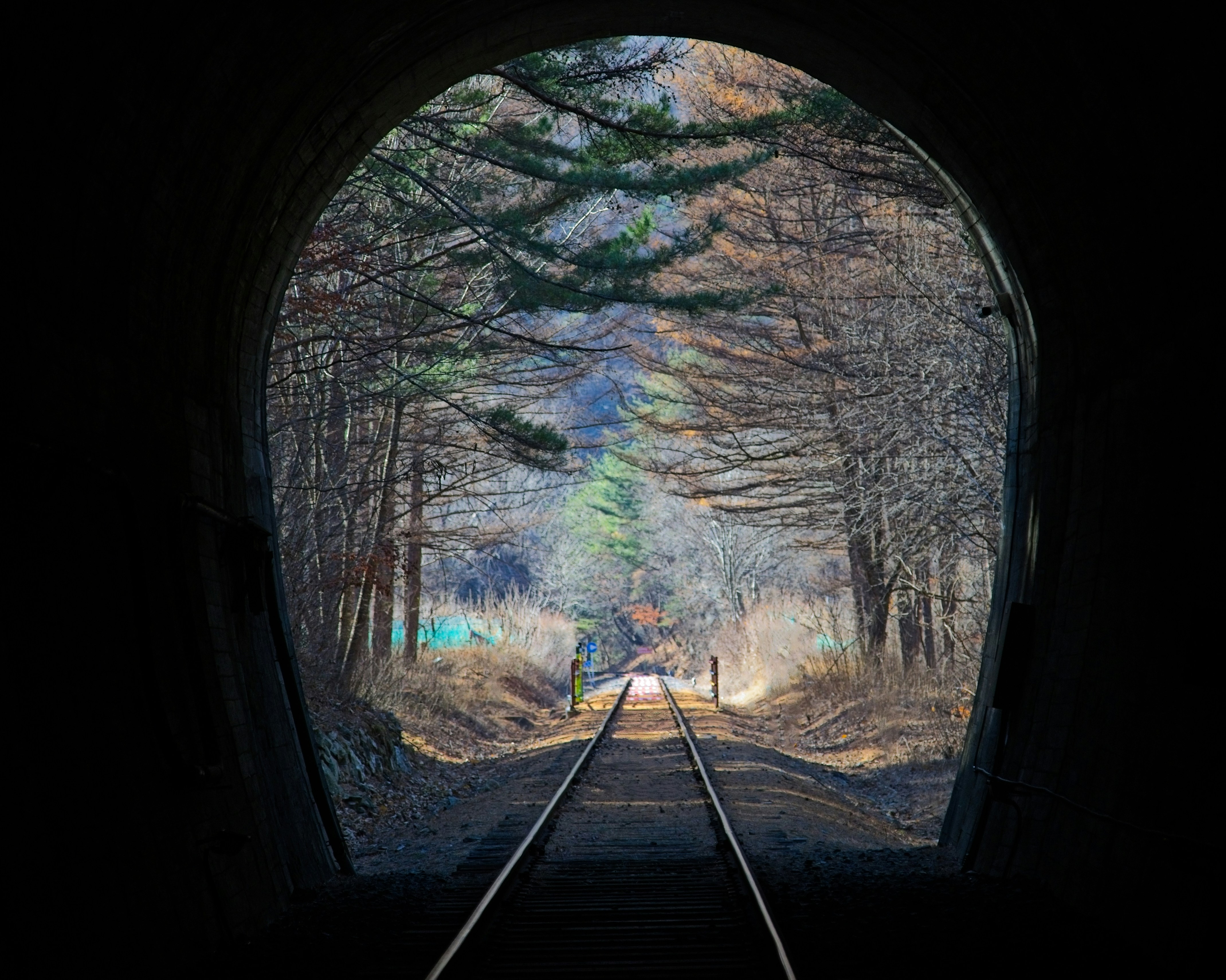 View from inside railway tunnel looking out onto forest and train tracks in daylight