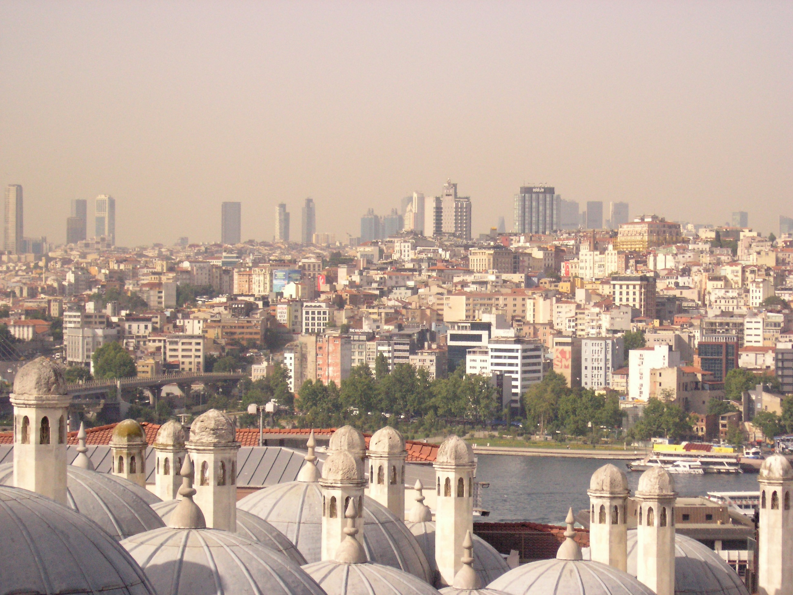 Domes and cityscape with a river in the distance