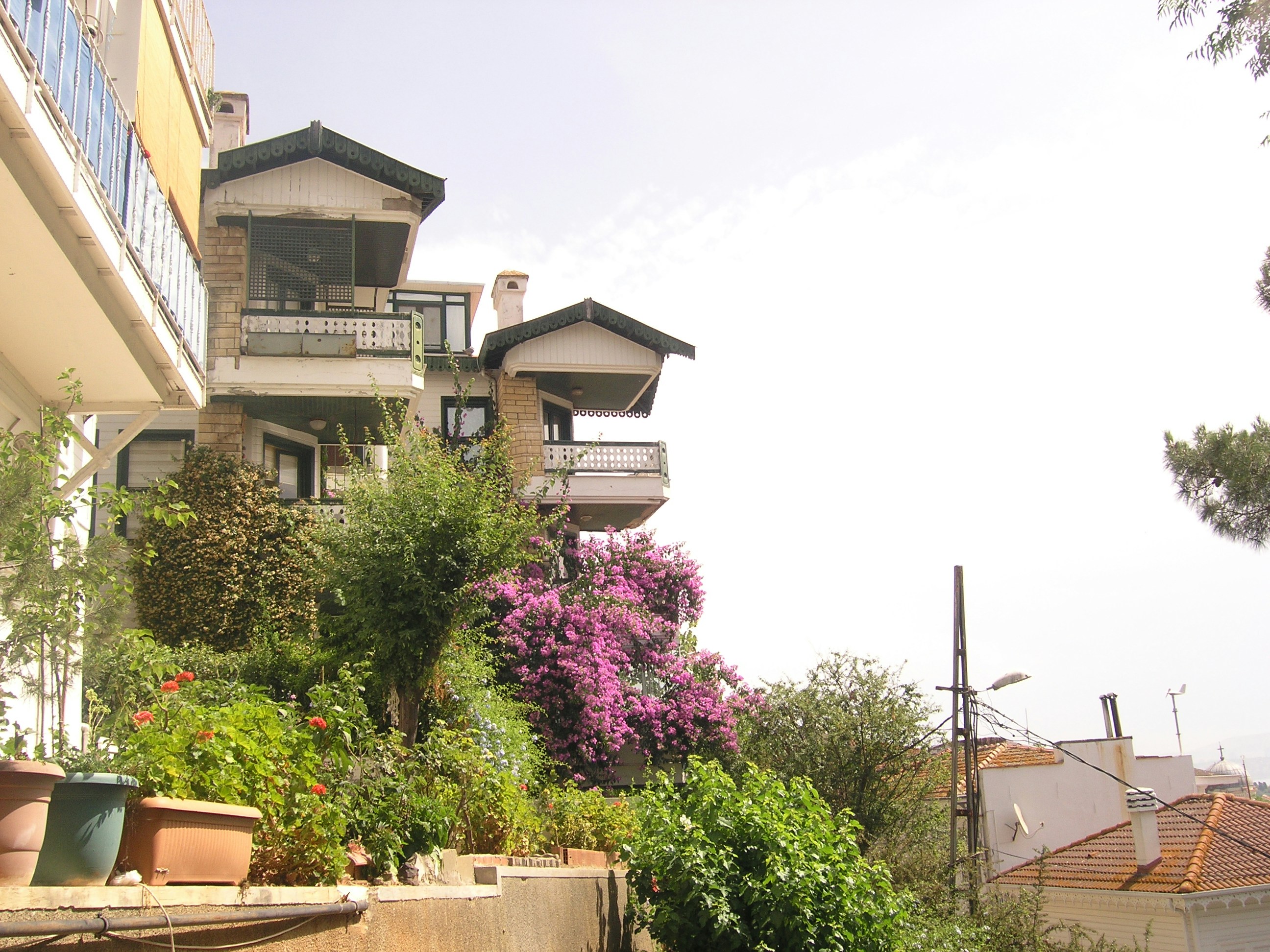 Photo by Vika Meyer with Olympus C-5060 Wide Zoom