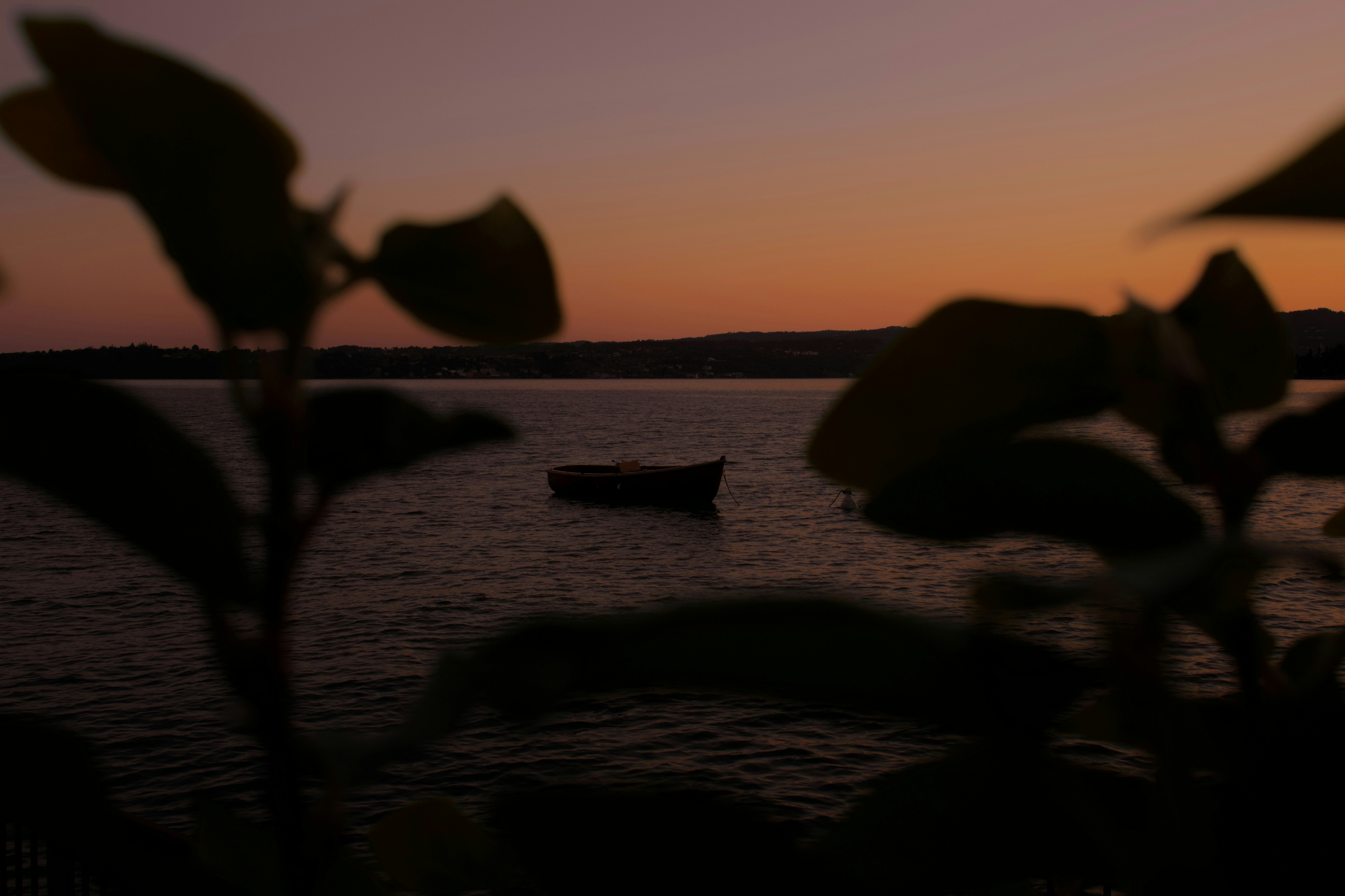 Dusk Boat in a Velvet Harbor
