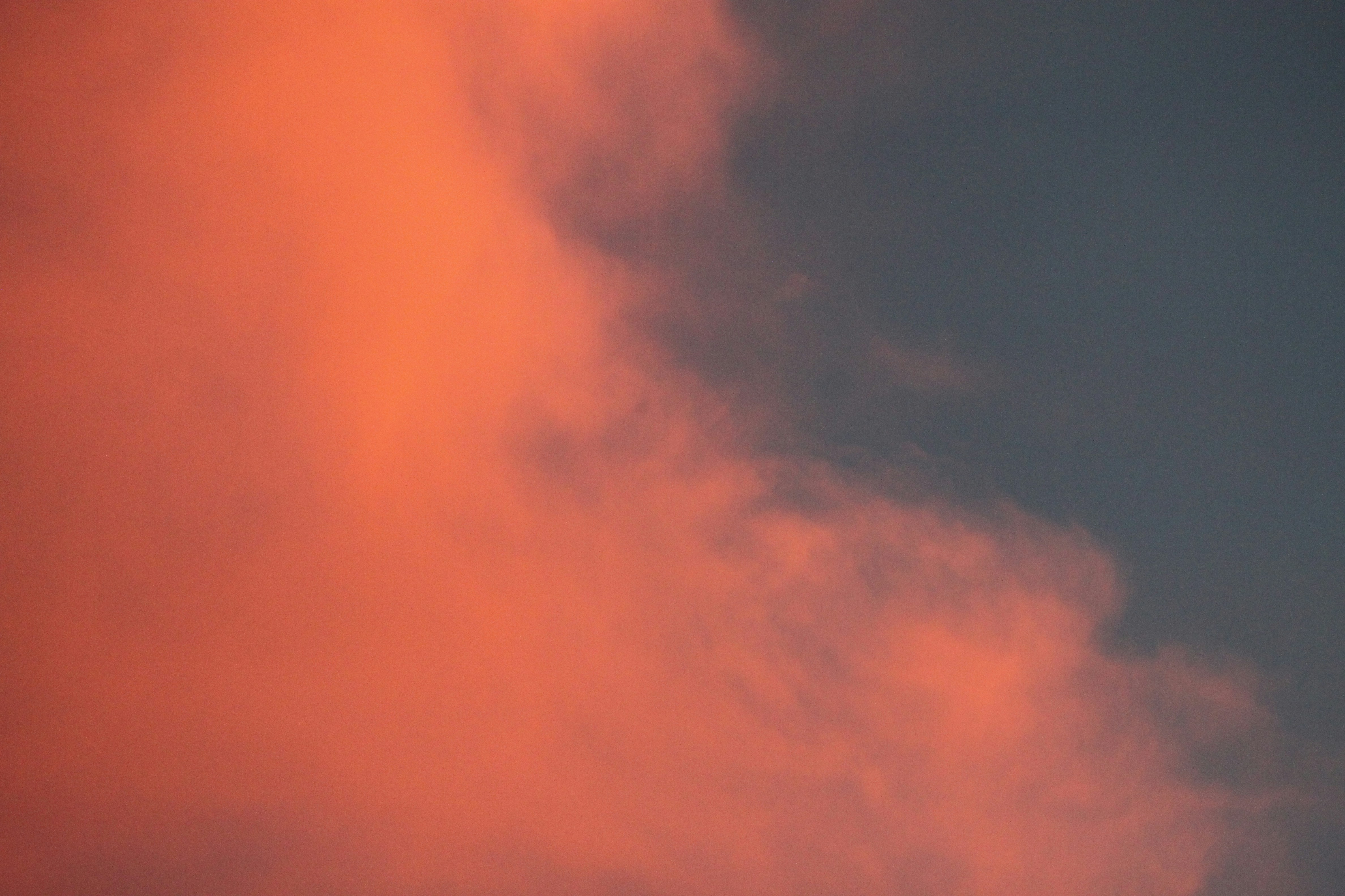 Photo by Ruby Lalor with Canon EOS 500D