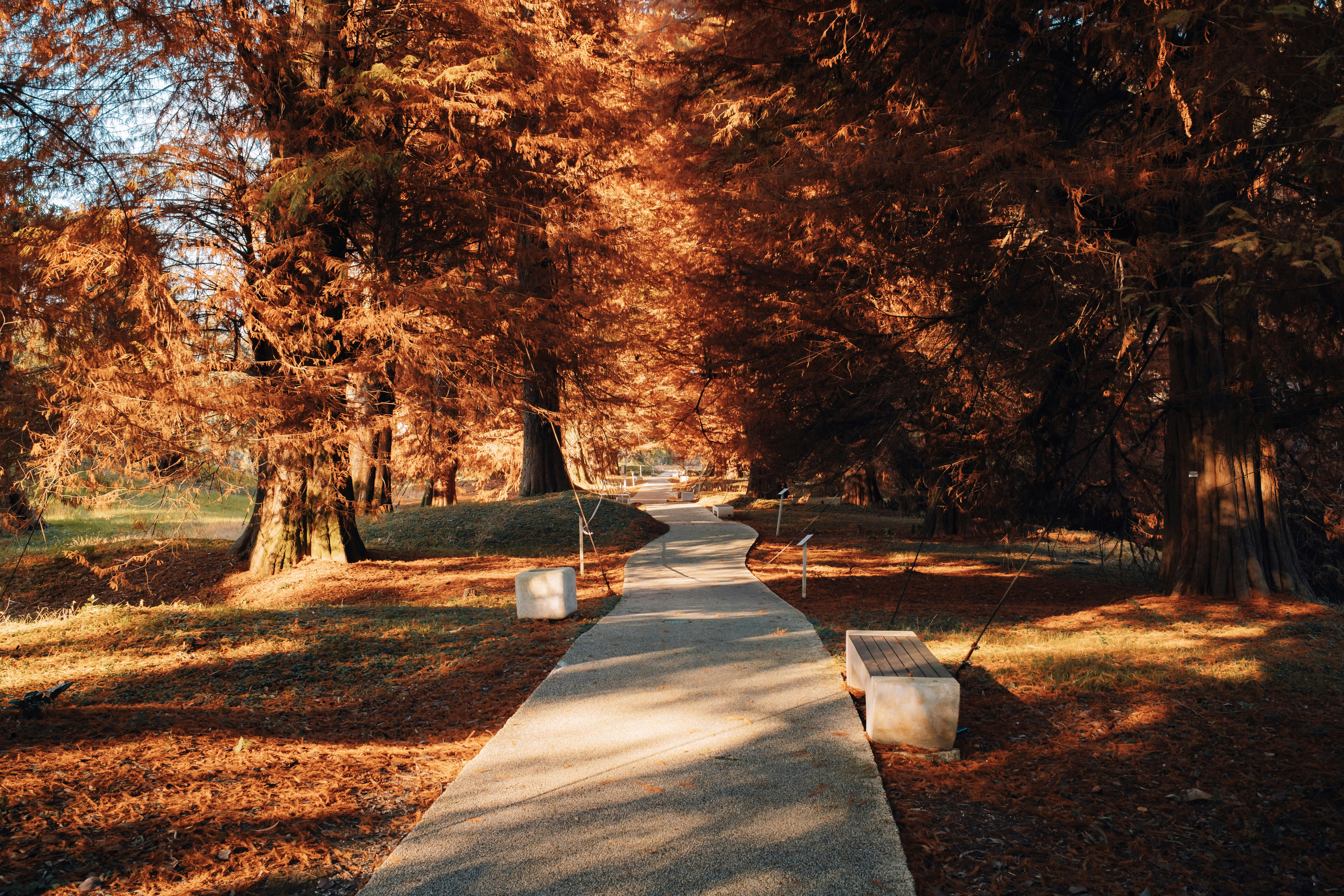 Photo by Mamuka Jimshiashvili with Fujifilm X100VI