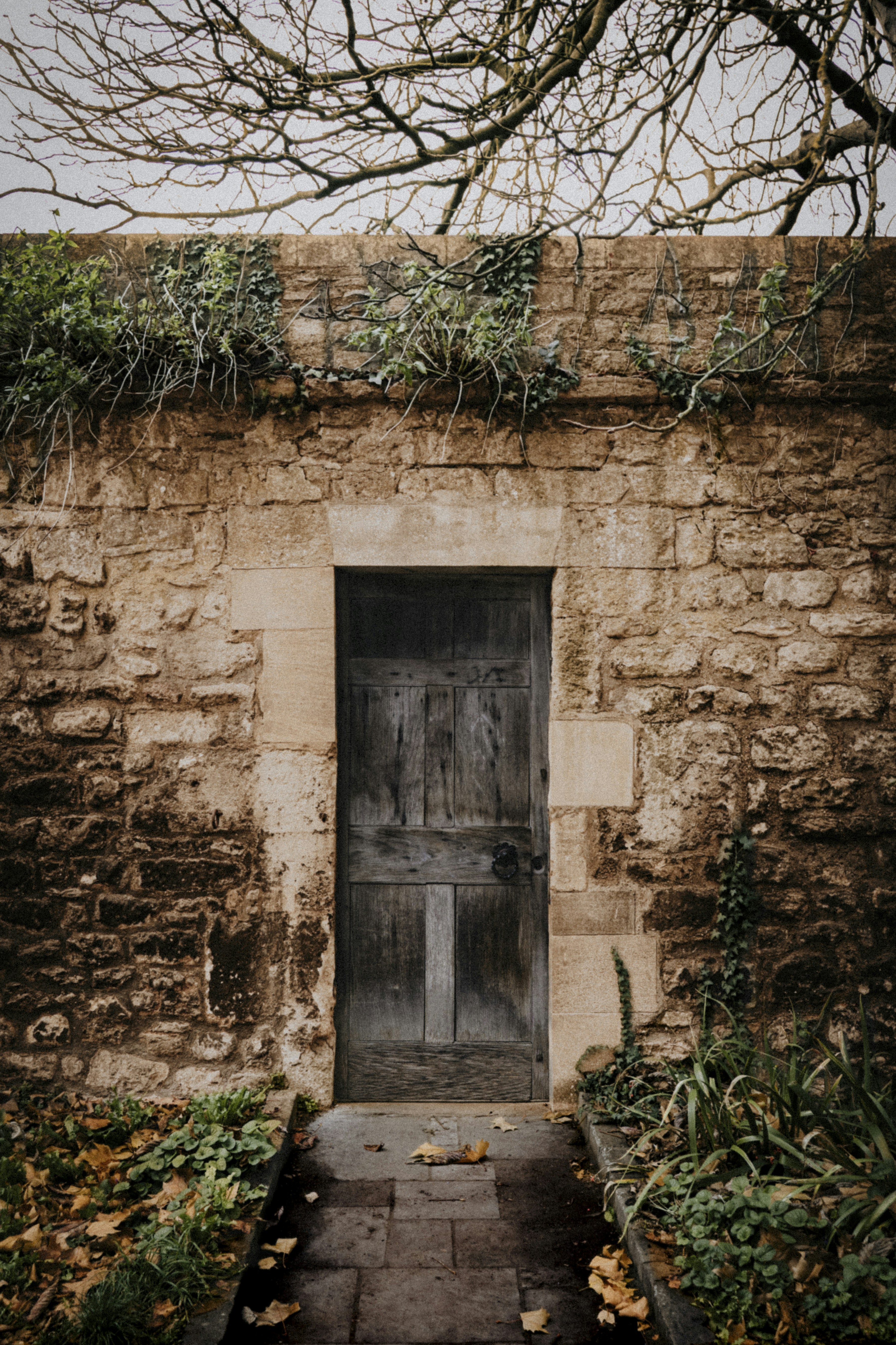 Photo by zubair.works with Sony Alpha 7 III