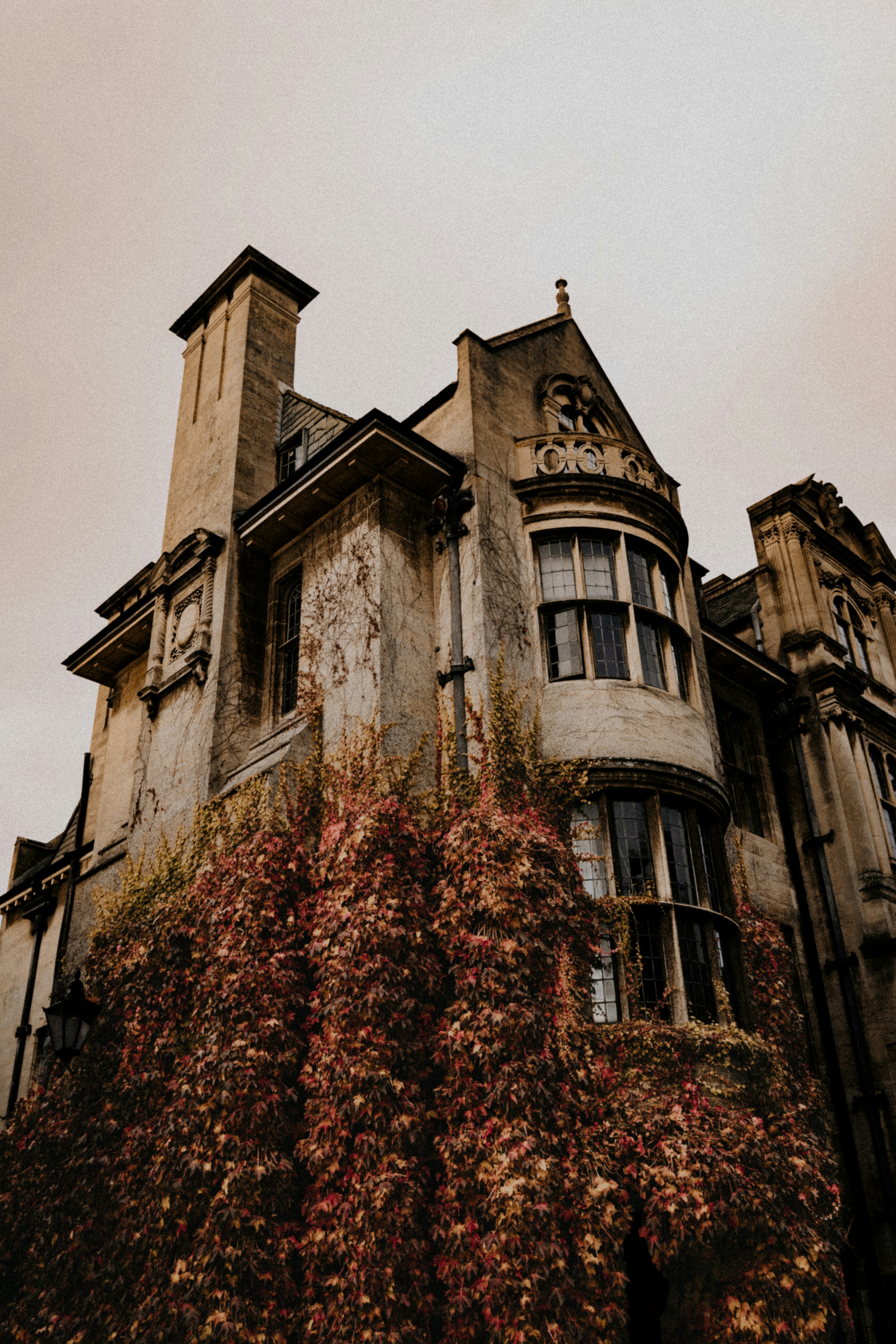 Photo by zubair.works with Sony Alpha 7 III