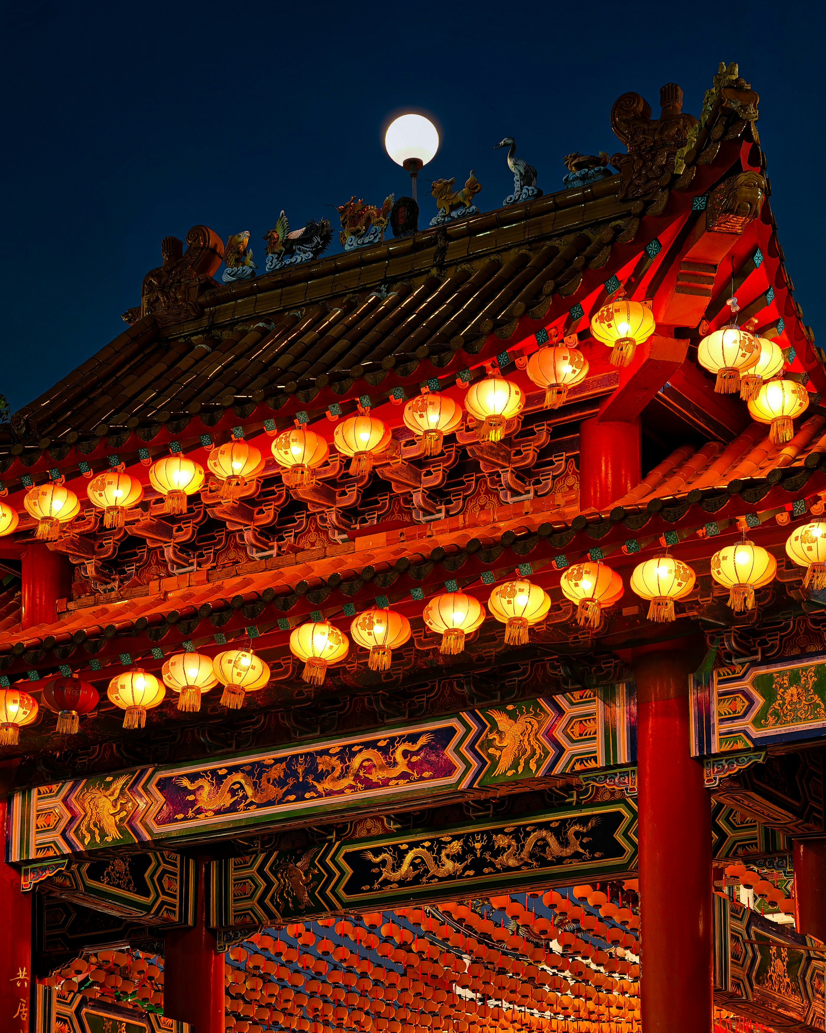 Shot on HONOR Magic 8 Pro