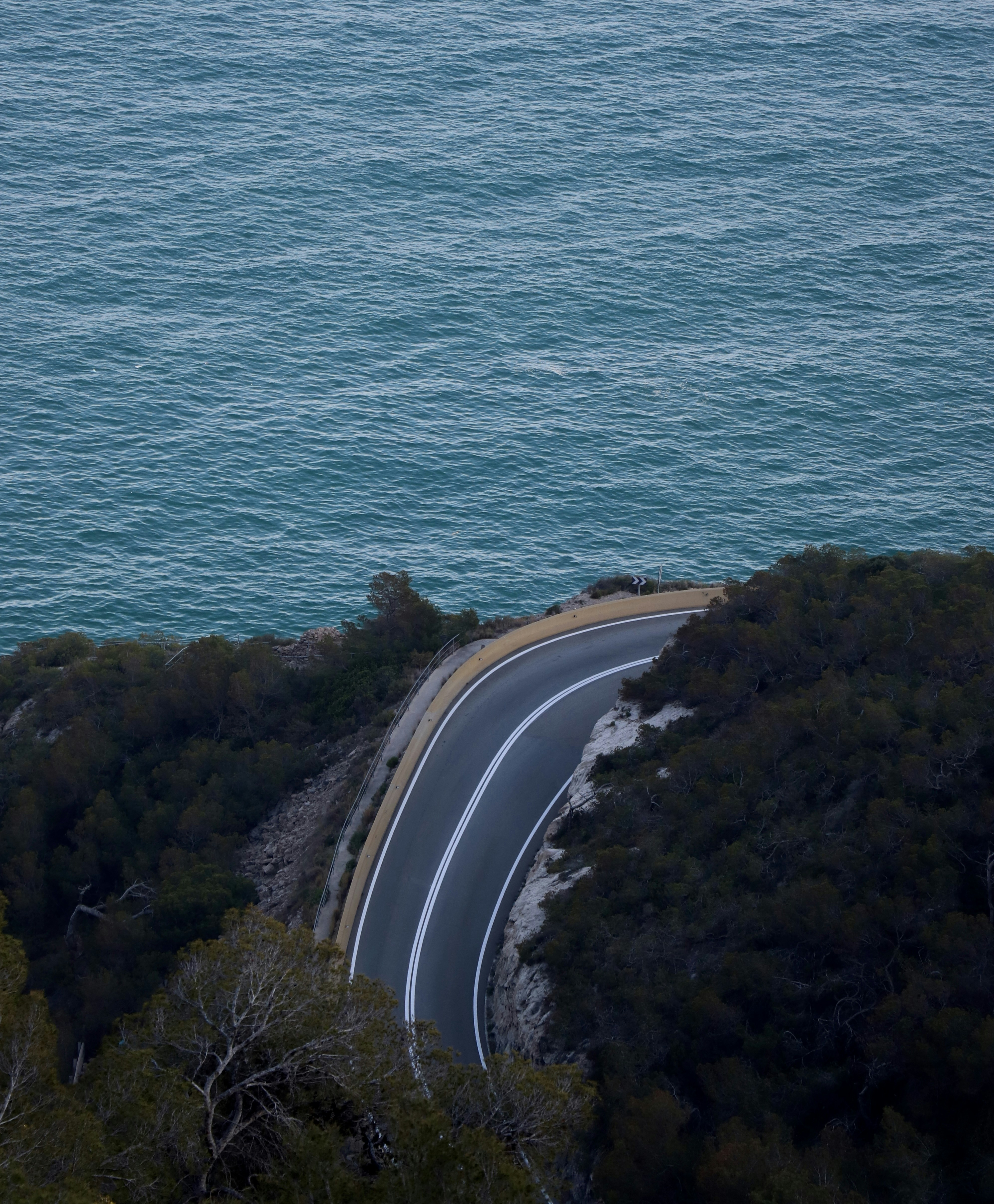 A clean hairpin bend cuts through coastal pines above a calm teal sea, an elegant, minimalist scene that feels like the start of a long road-trip journey.