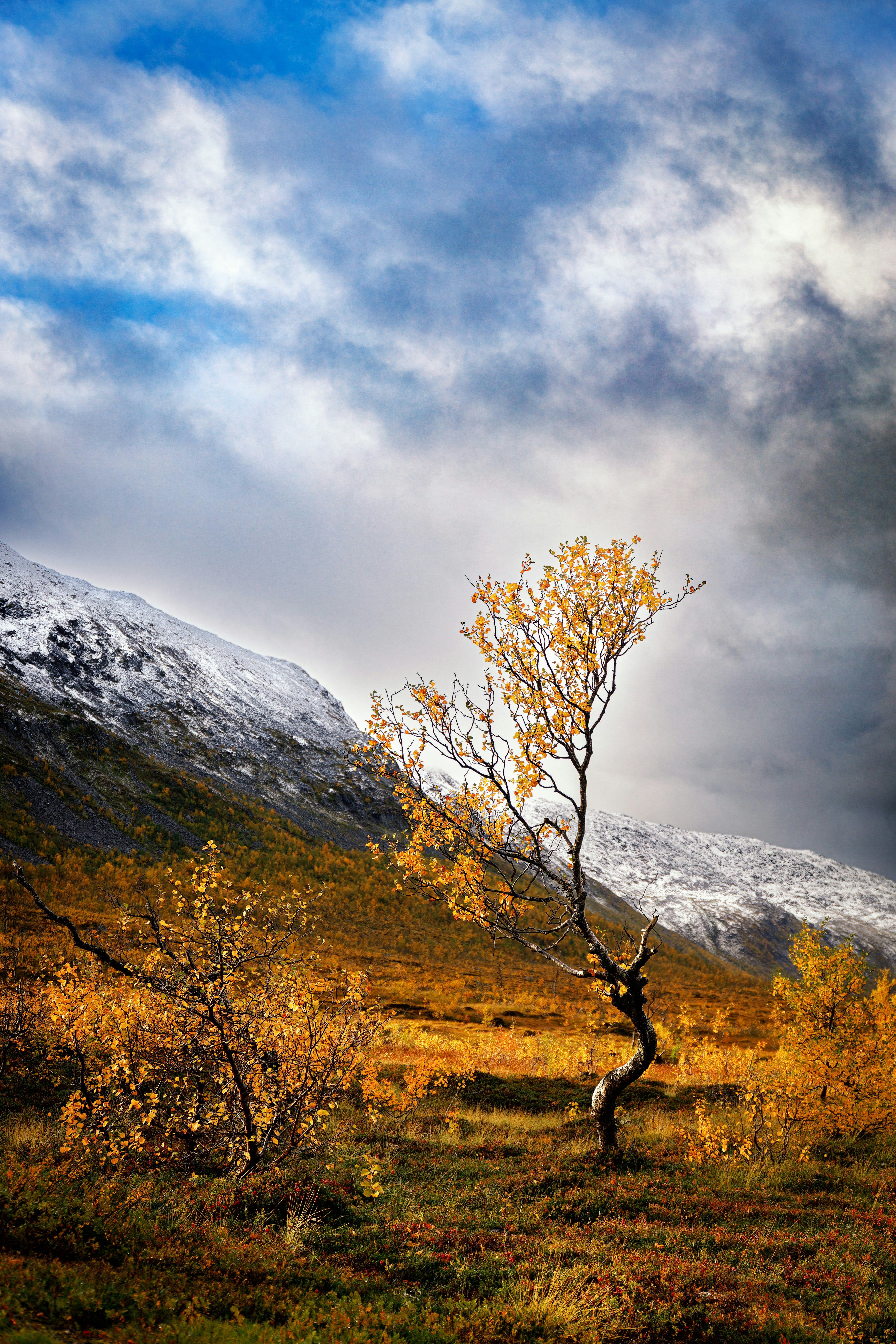 Autumn Silence on the Snow-Litted Slope