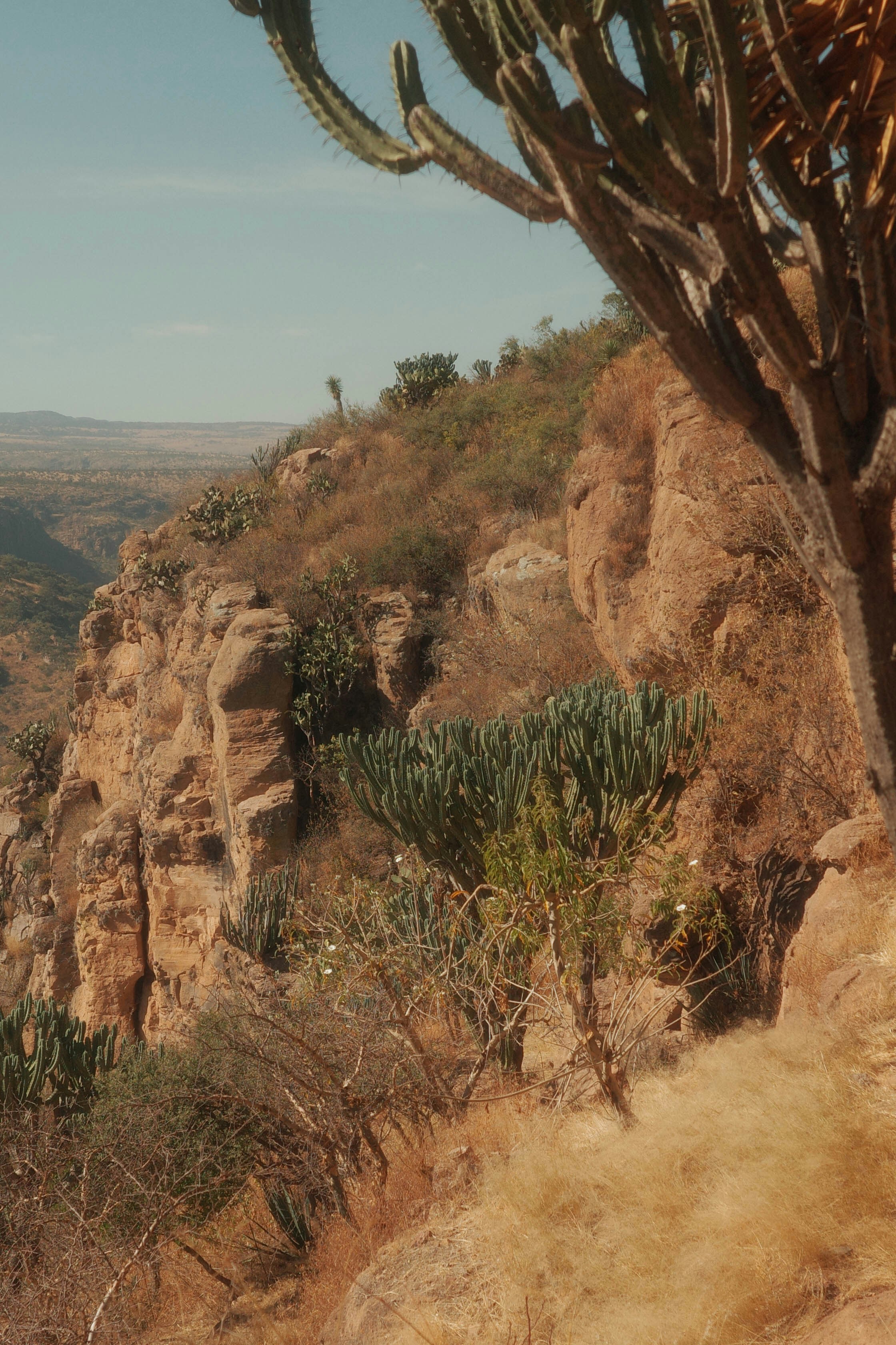 Photo by Tomas Salazar with Ricoh GR IIIx