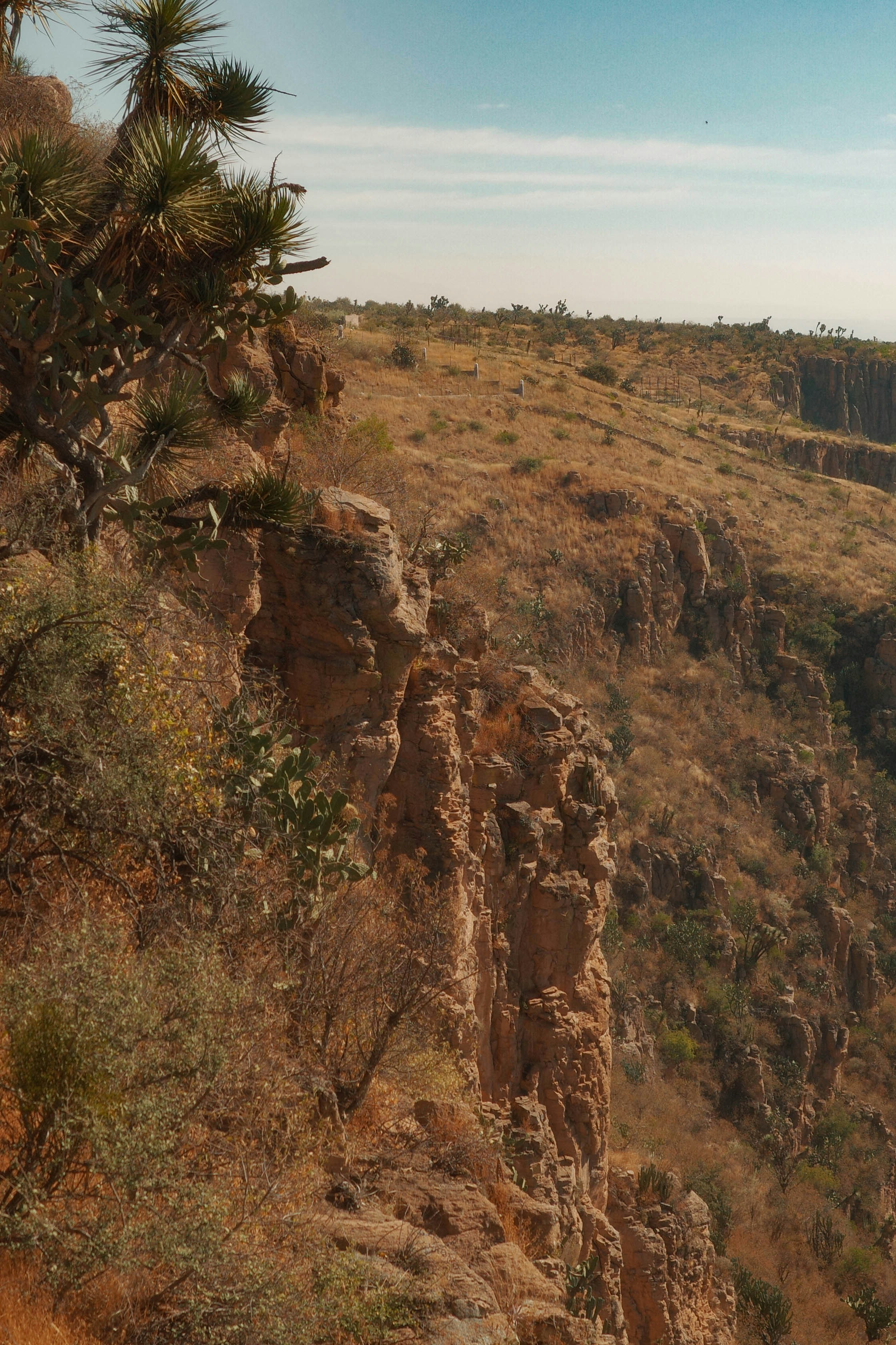 Desert Cliffscape Beneath a Quiet Sky