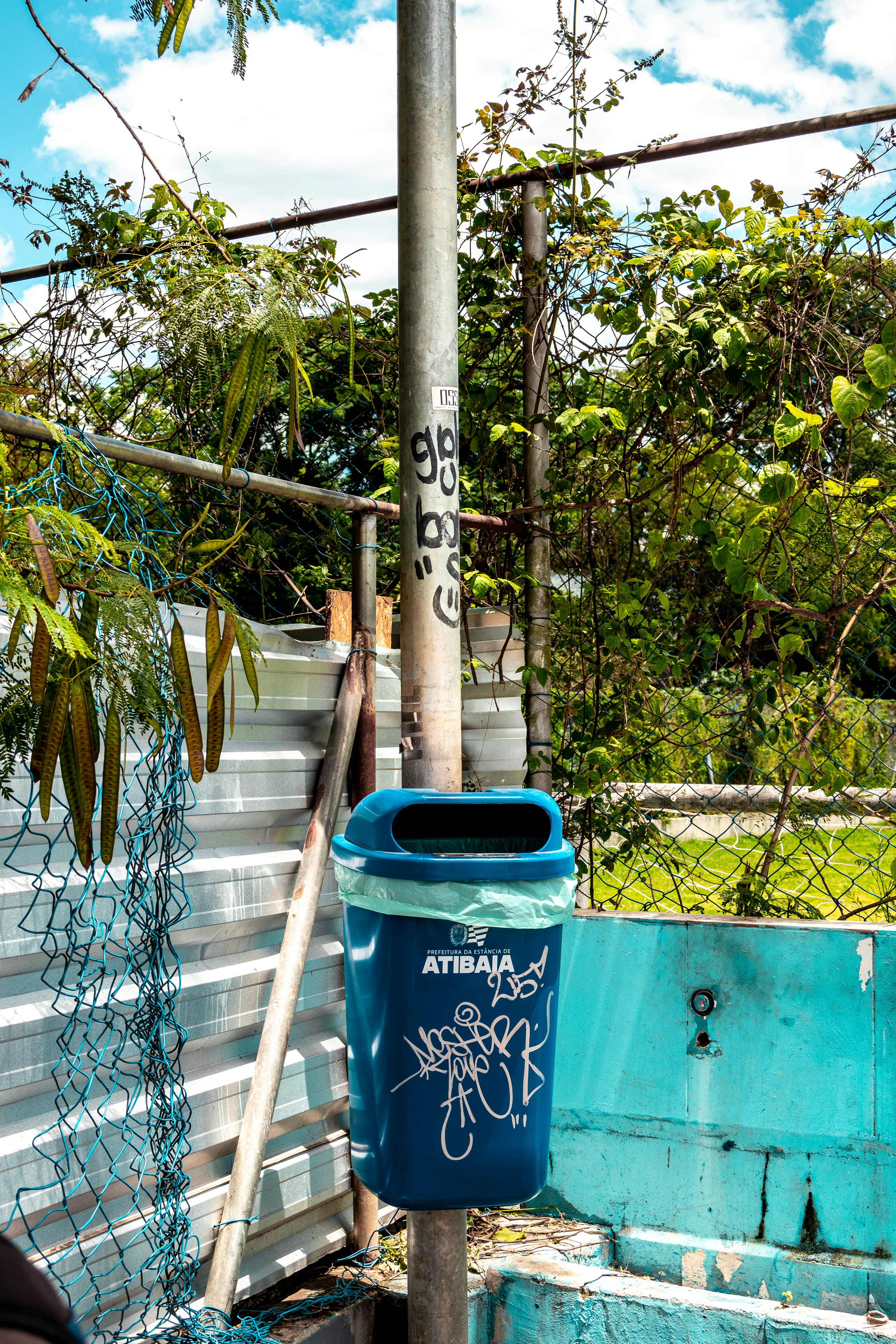 Blue recycling bin under a sunlit urban skein of vines and metal