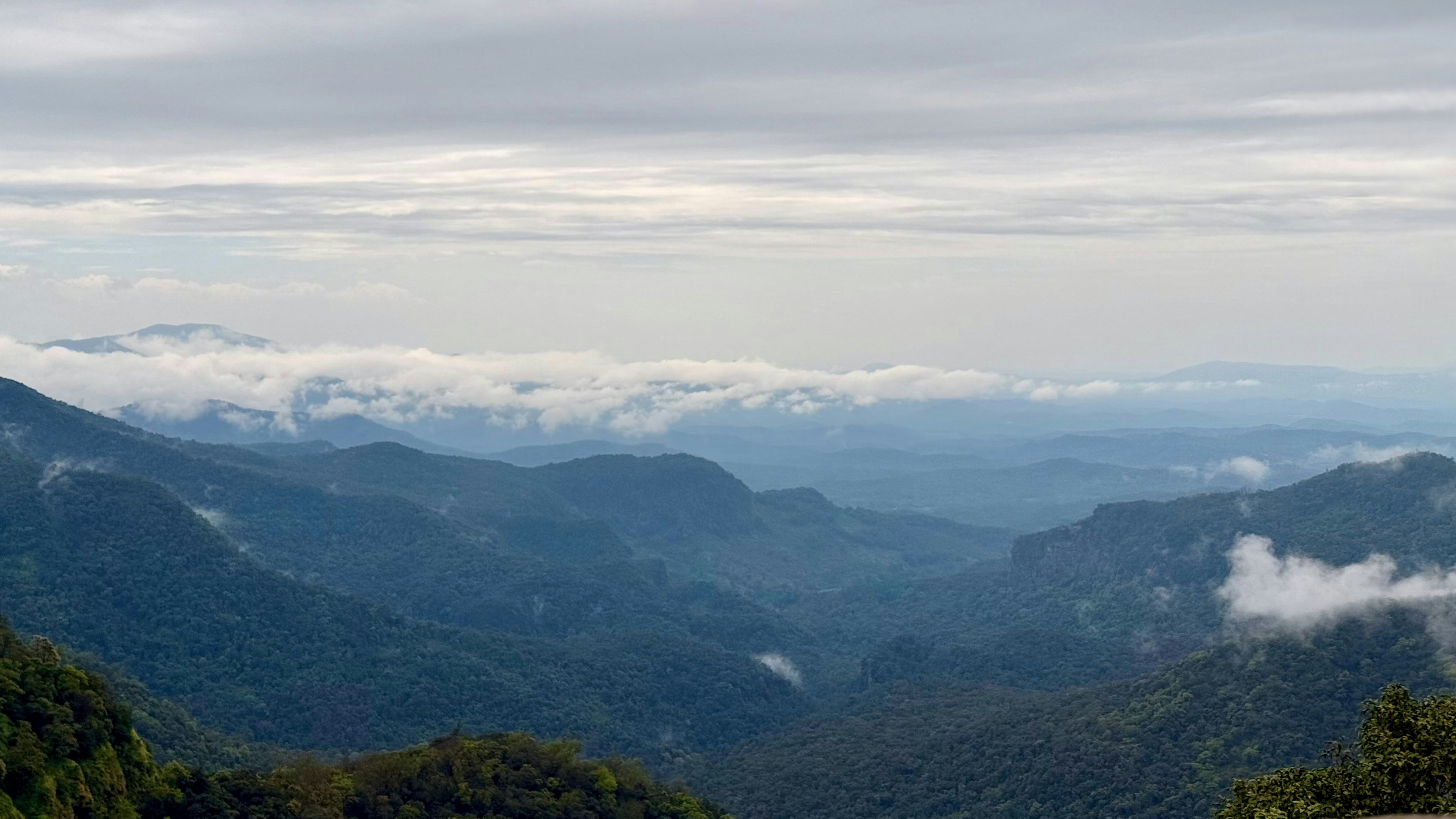 Photo by Pranav Shirali with Apple iPhone 16 Pro