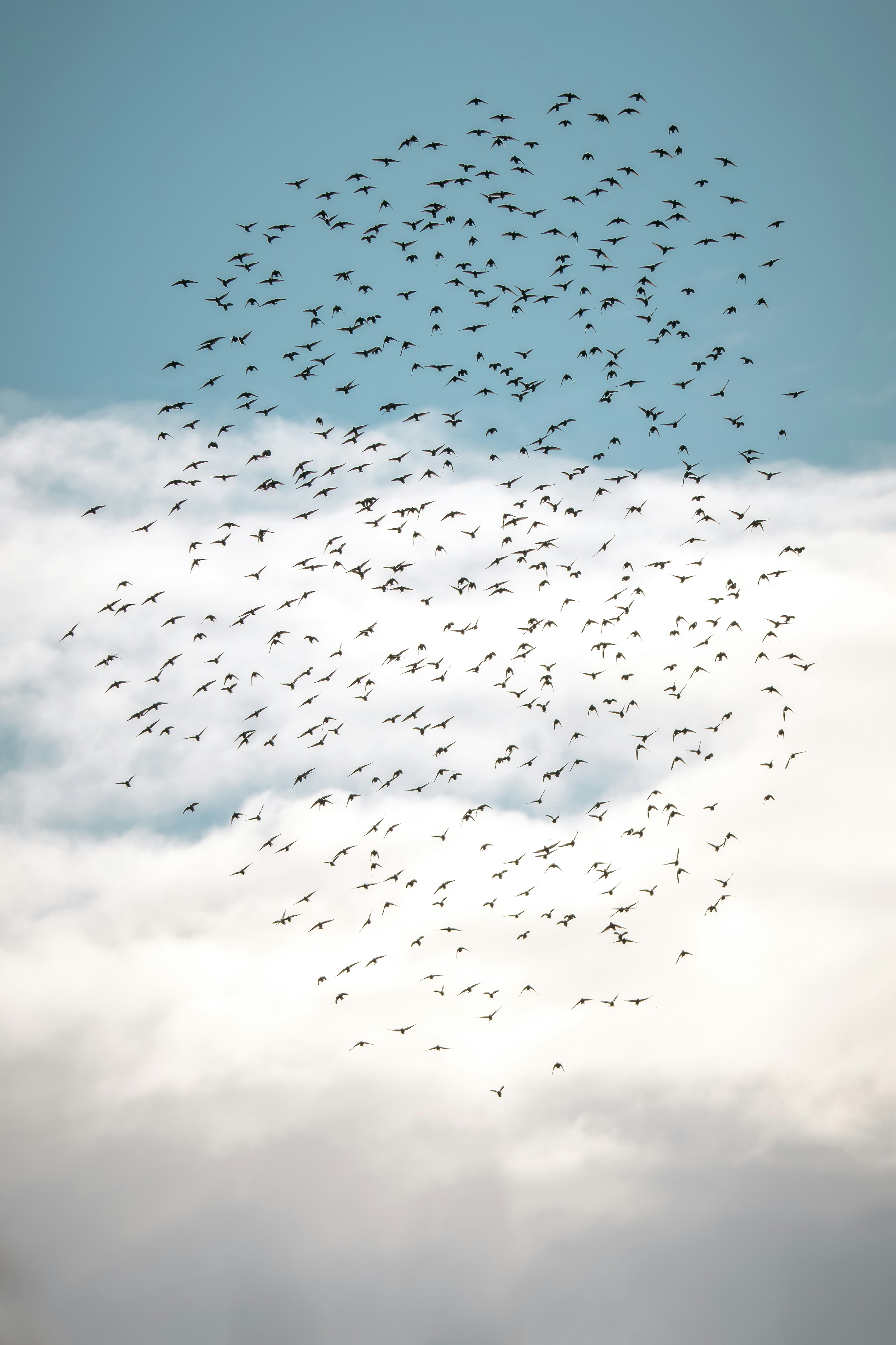 Photo by Doncoombez with Nikon Z9