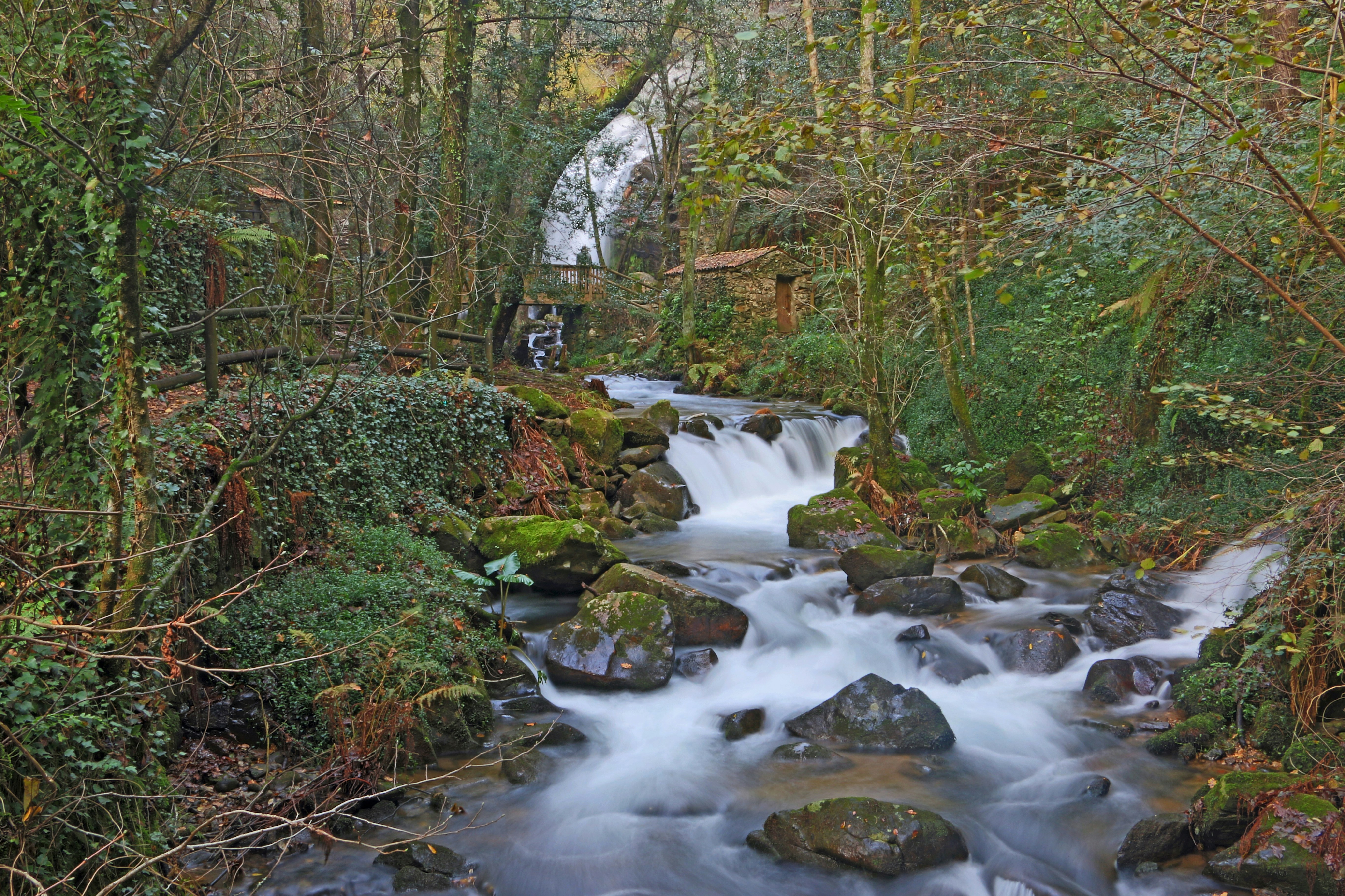 Parque da Cabreia, Sever do Vouga,Portugal