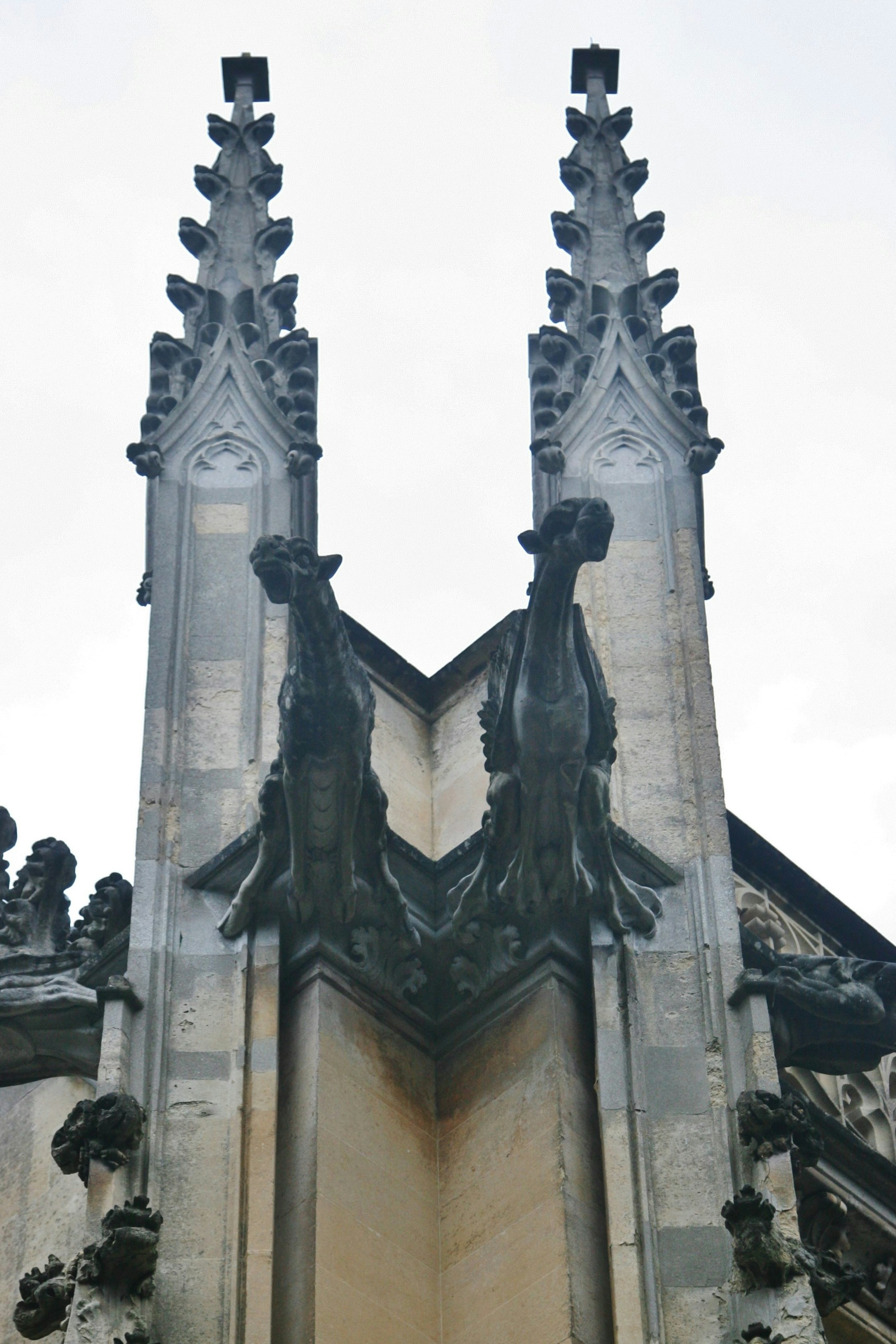 Gothic Cathedral Spire Nerves: A Pair of Dragon-Guarded Peaks
