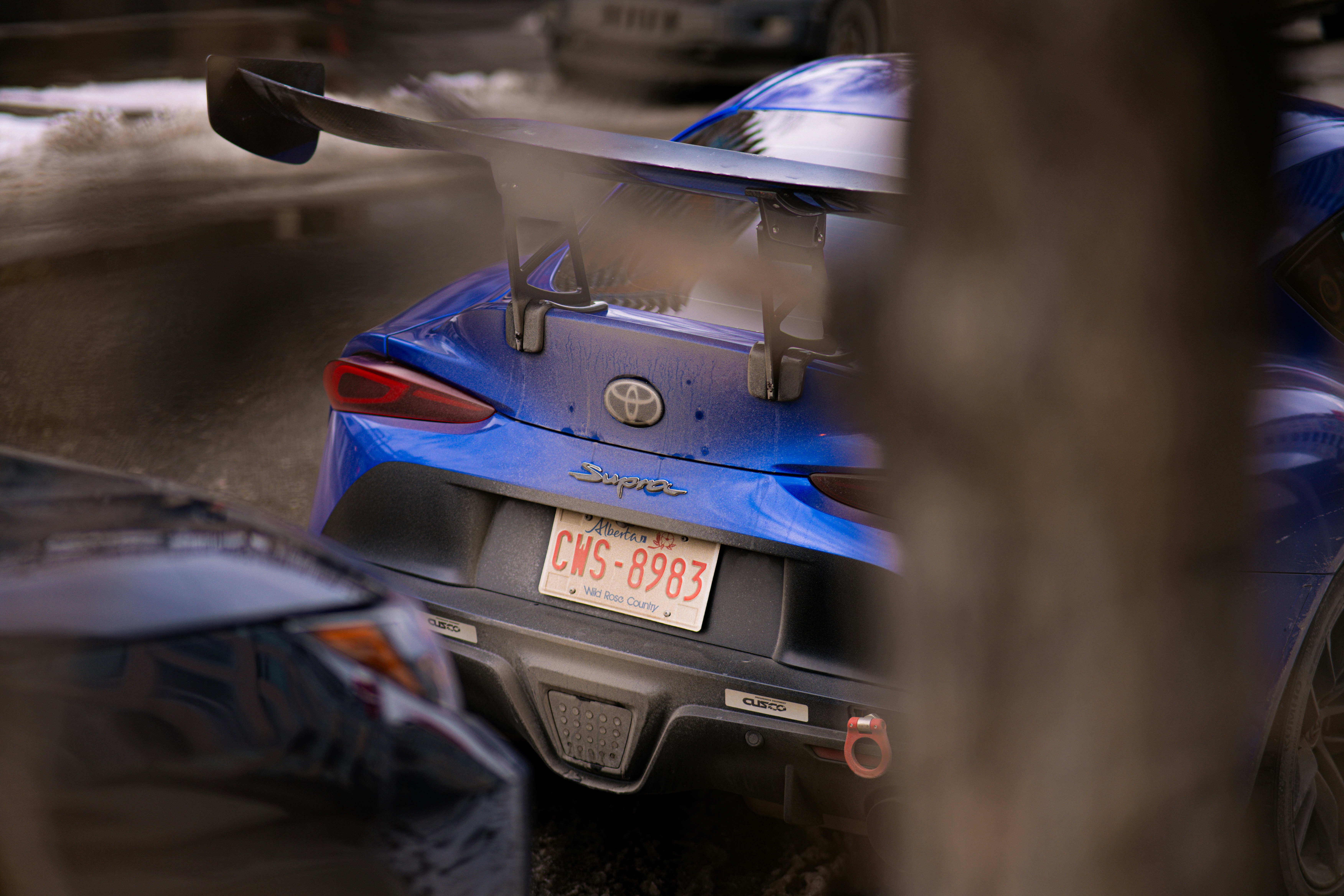 Photo by Josh Marty with Sony Alpha 7 IV