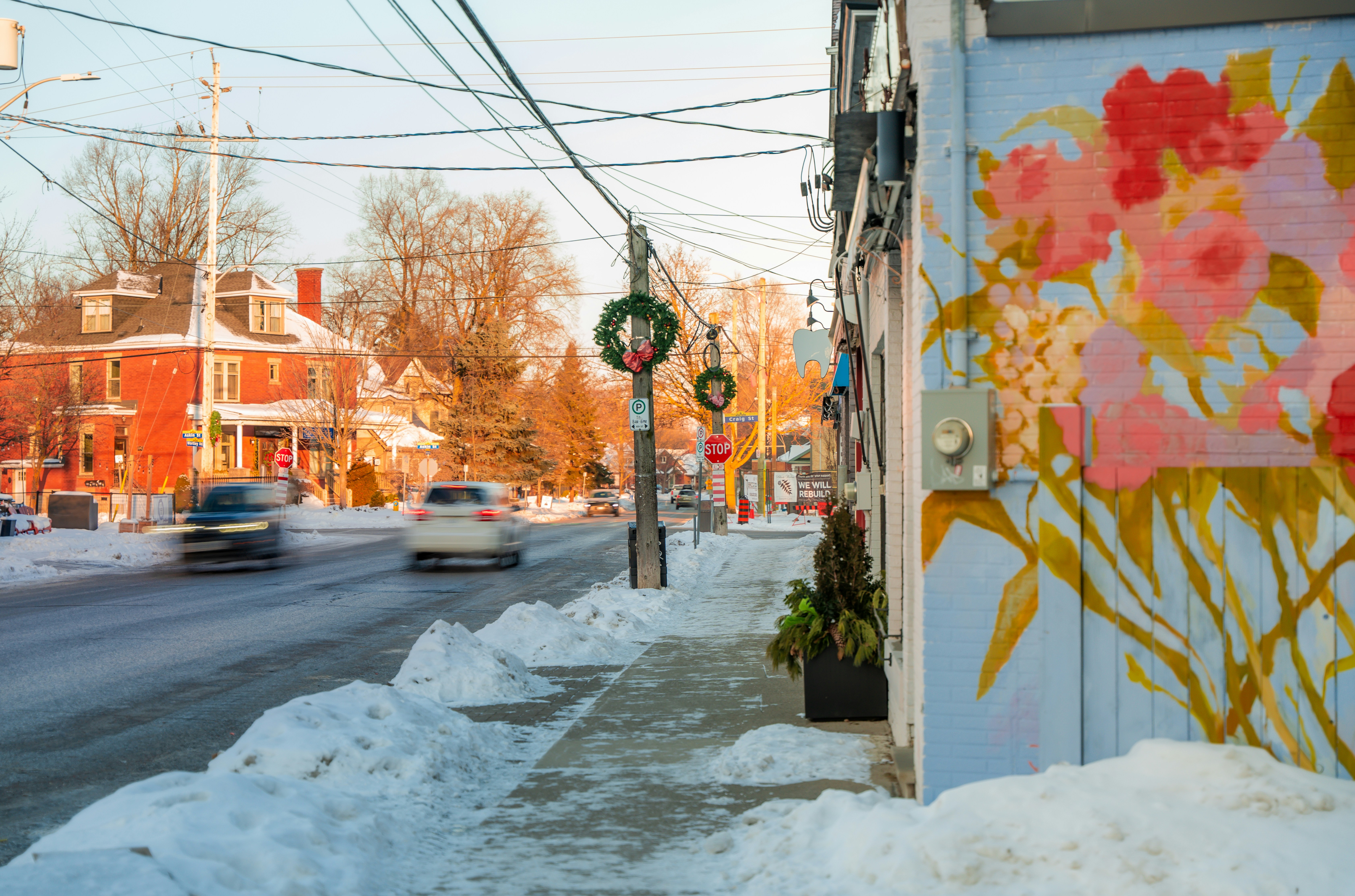 Snow-Blanketed Street Meets Painted Wall Garden