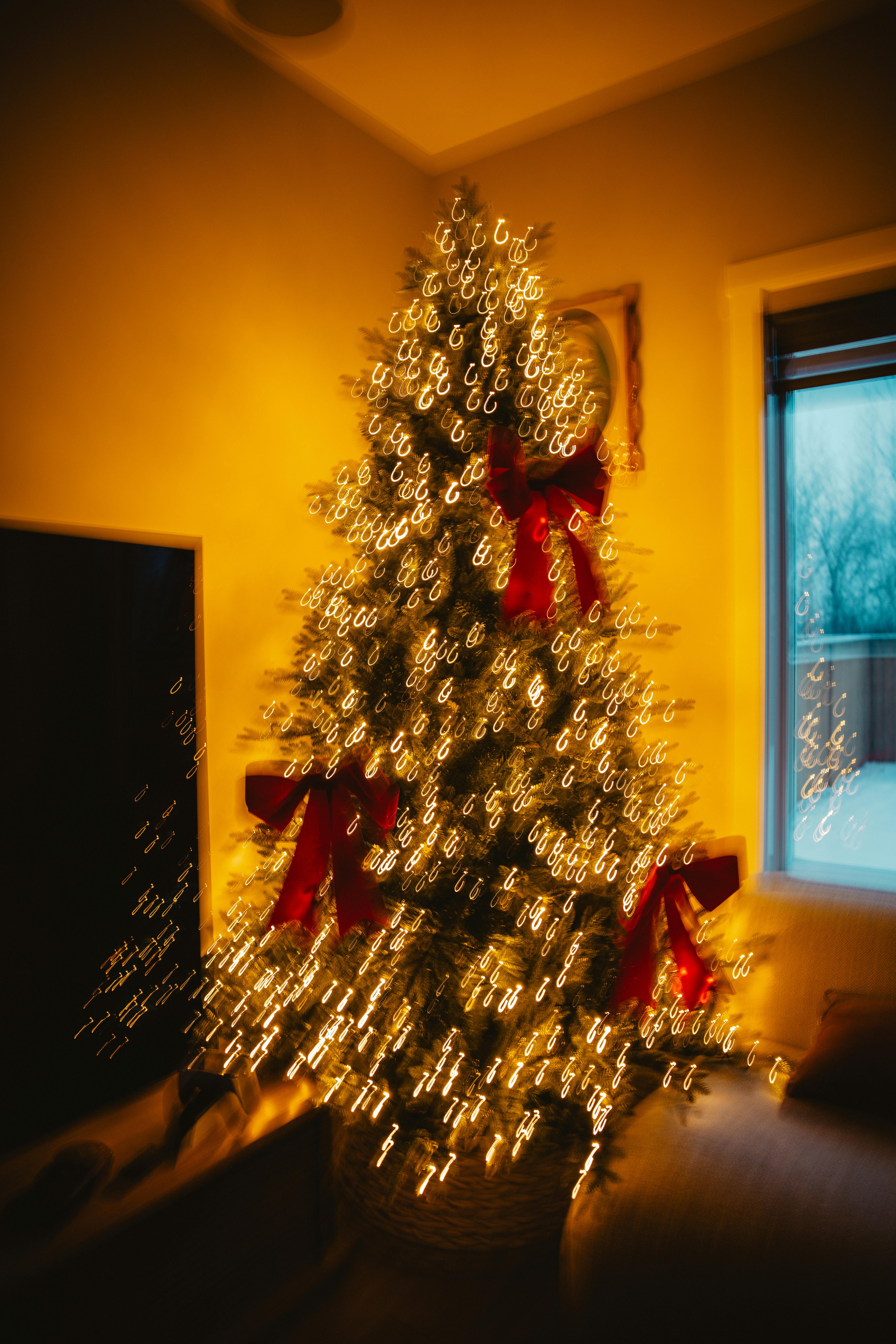 Photo by One91creative with Canon EOS R5 Mark II