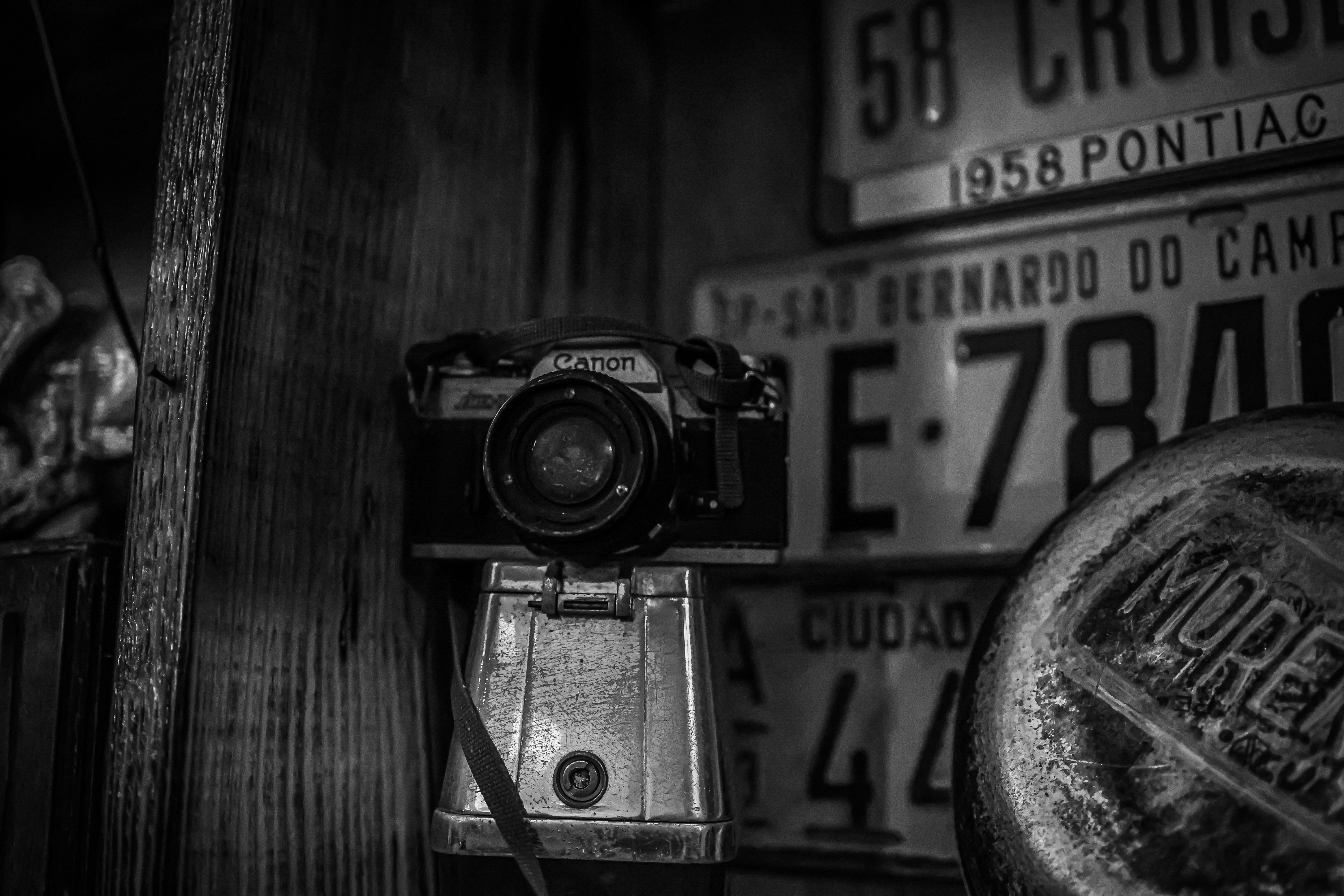 Photo by Alex Avila with Canon EOS R8