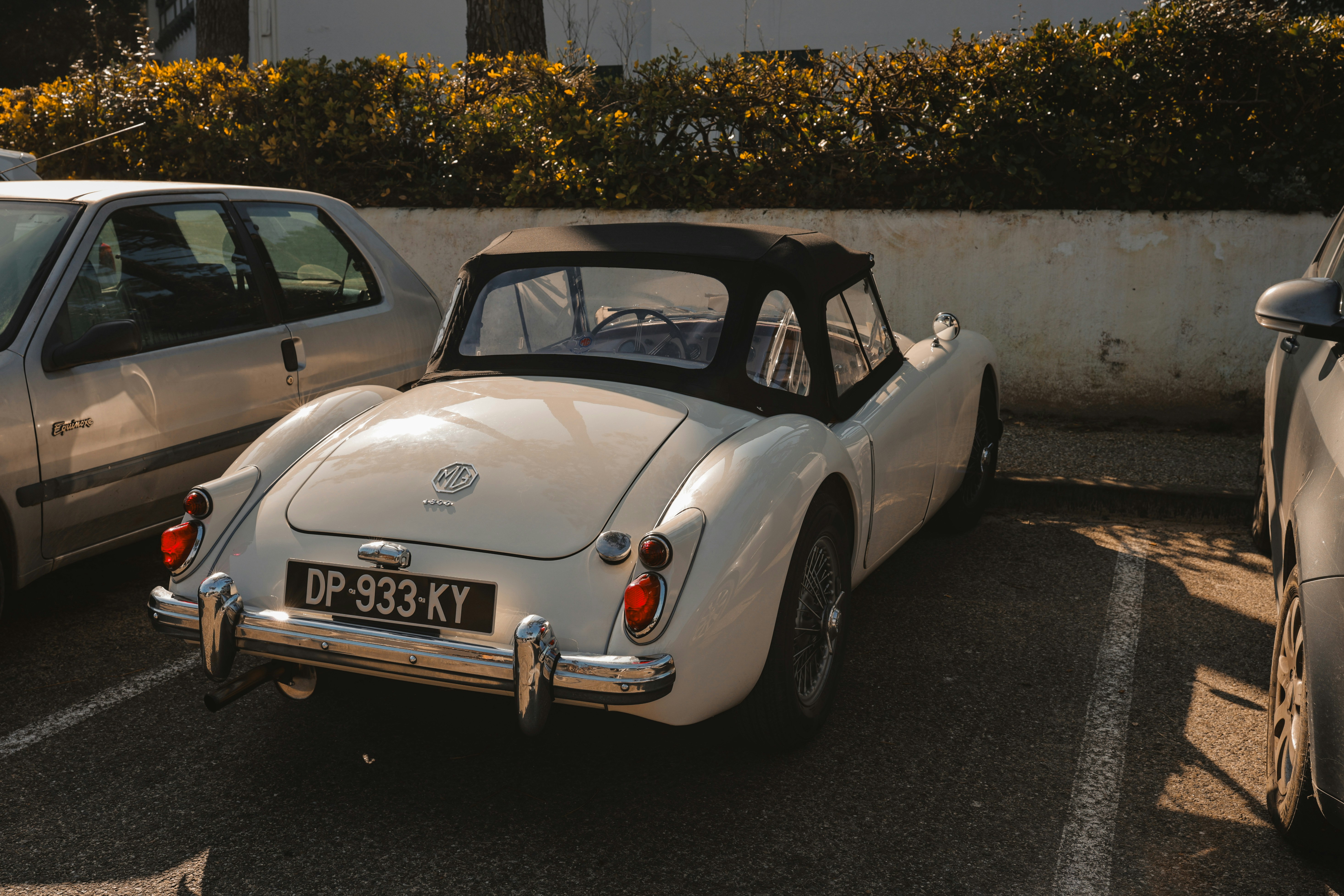 Photo by Alex Avila with Canon EOS R8