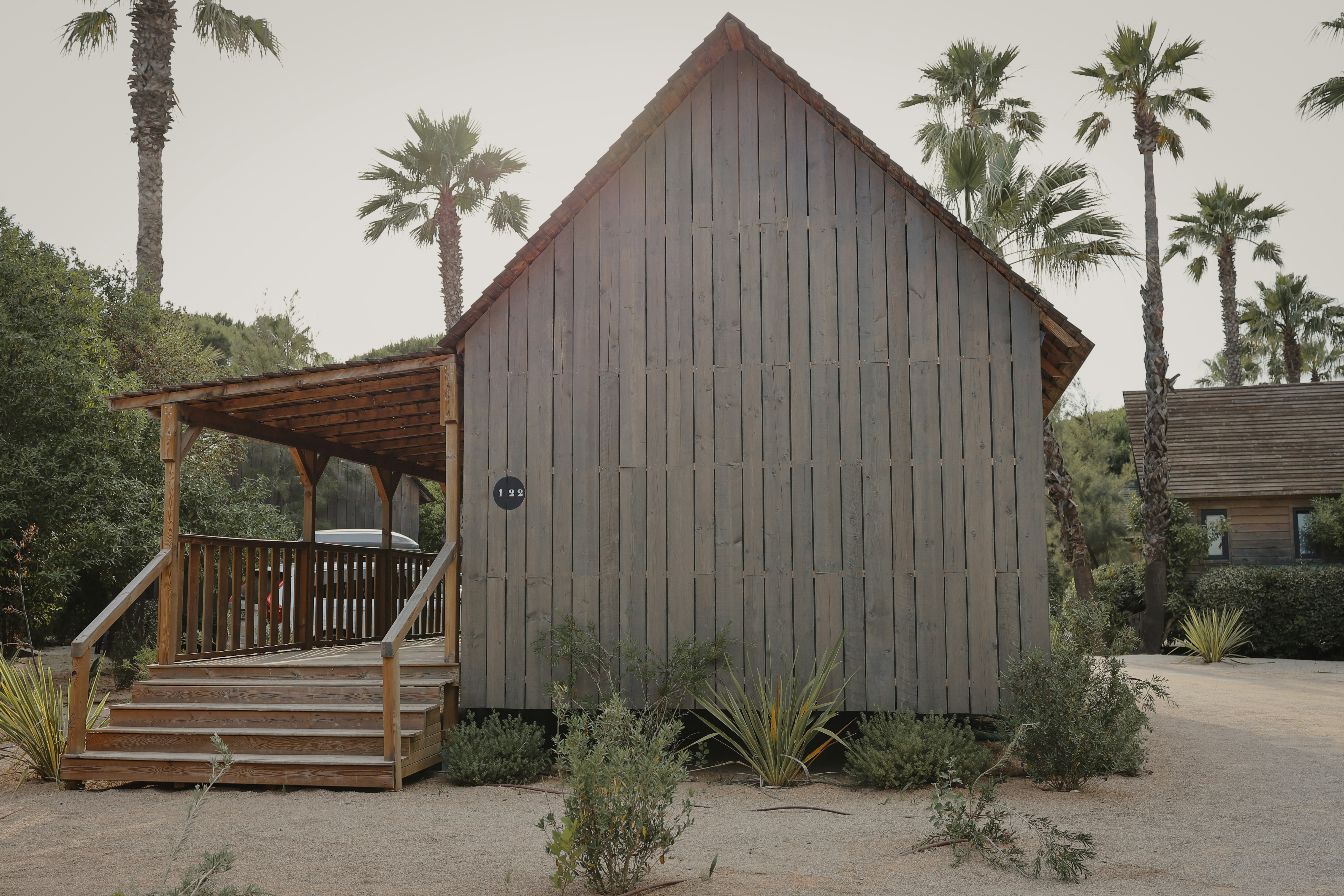 Weathered Cabin in a Palm-Dotted Clearing