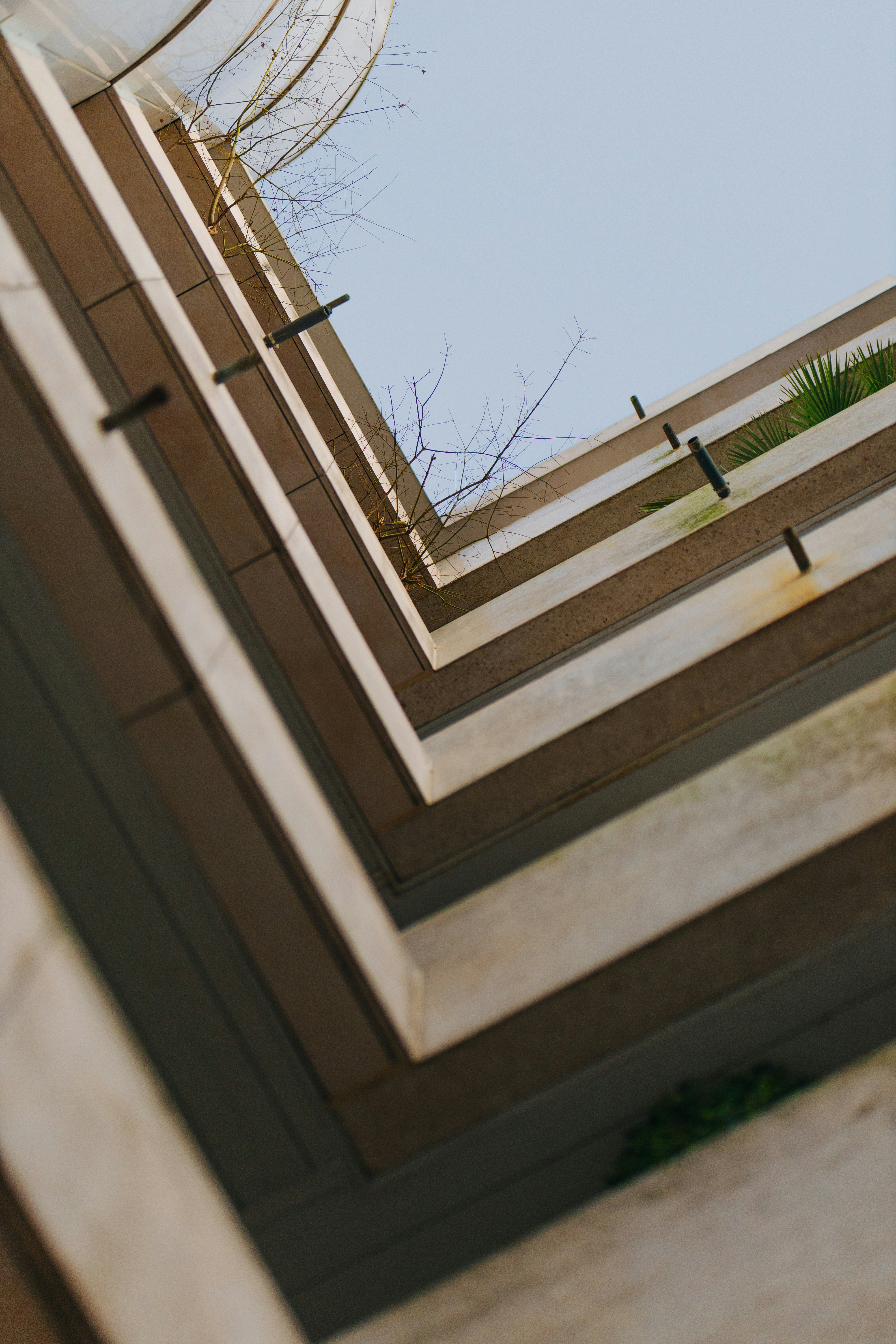 Photo by Alex Avila with Canon EOS R8