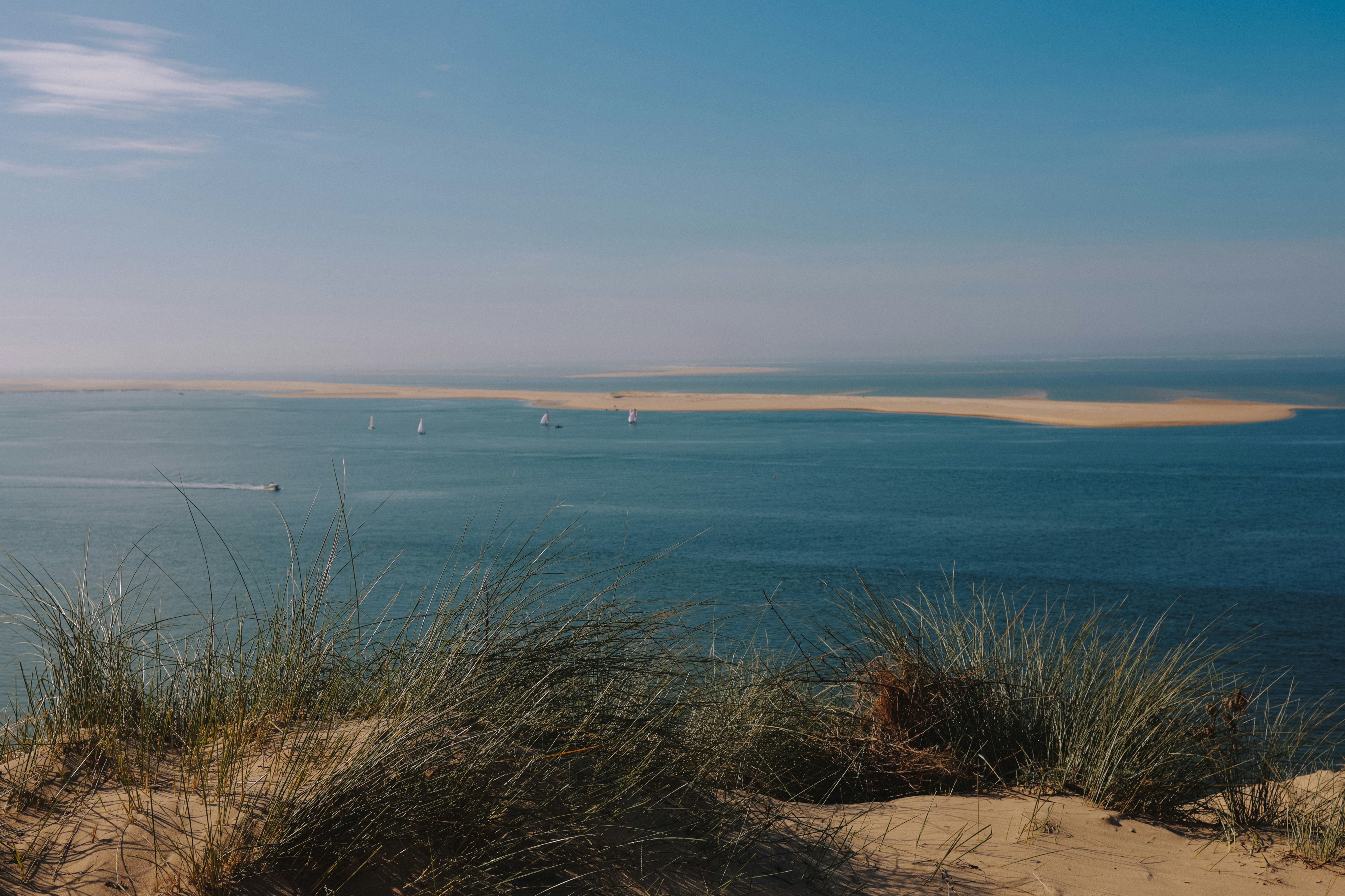 Dune Crest Overlooking a Calm Coastal Inlet