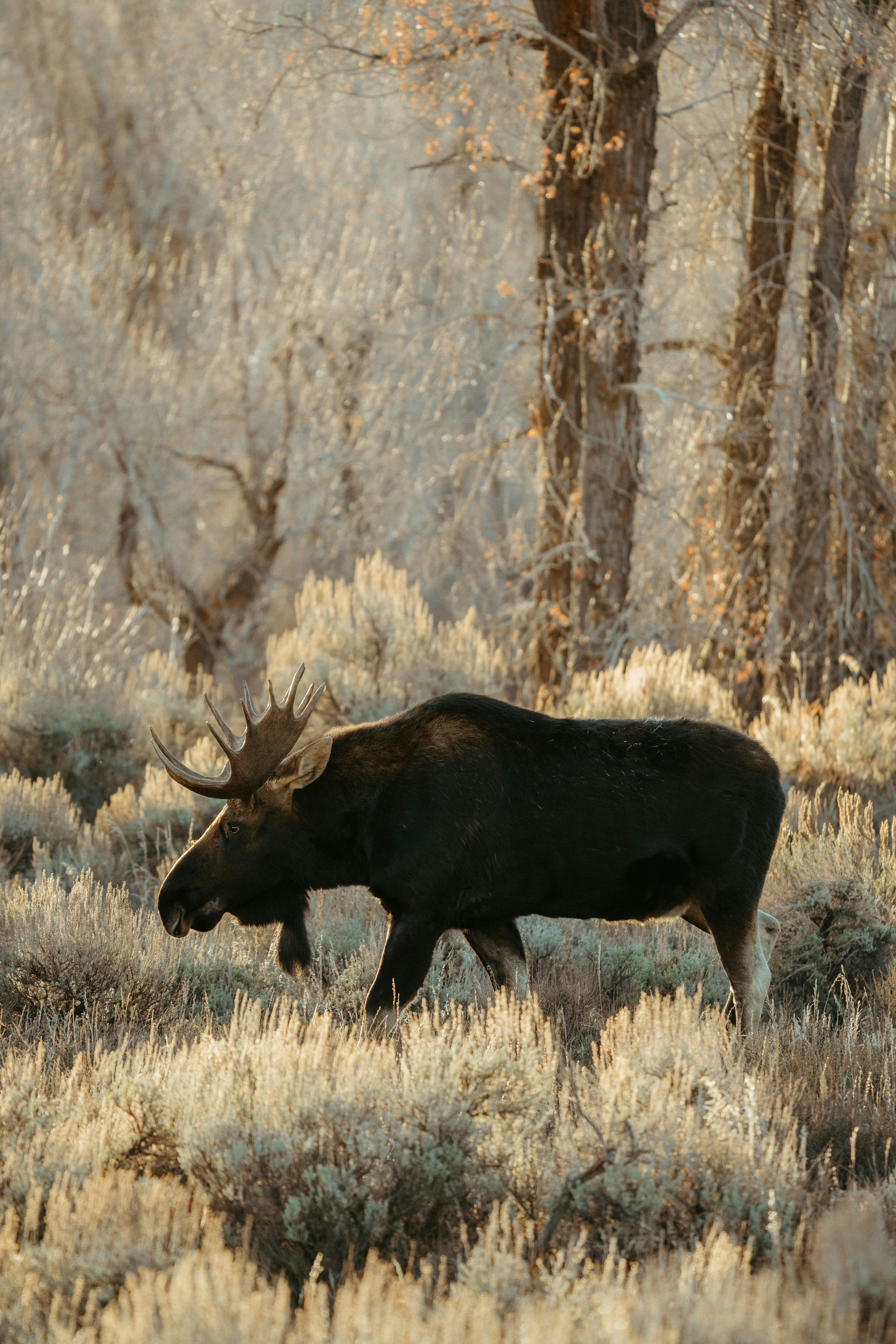 Photo by Matthew Stephenson with Sony Alpha 7 IV