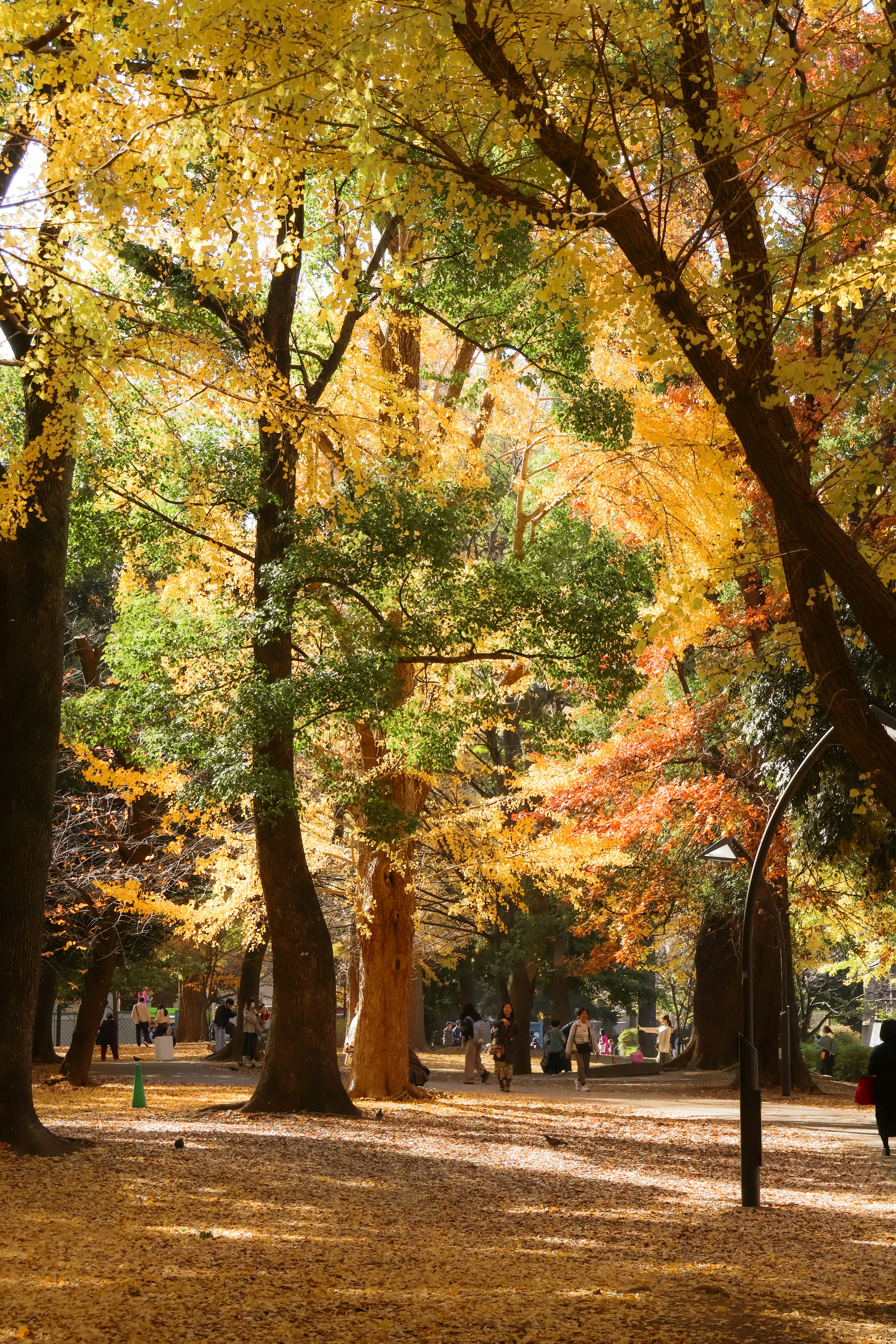 Photo by Ceci Li with Canon EOS R10