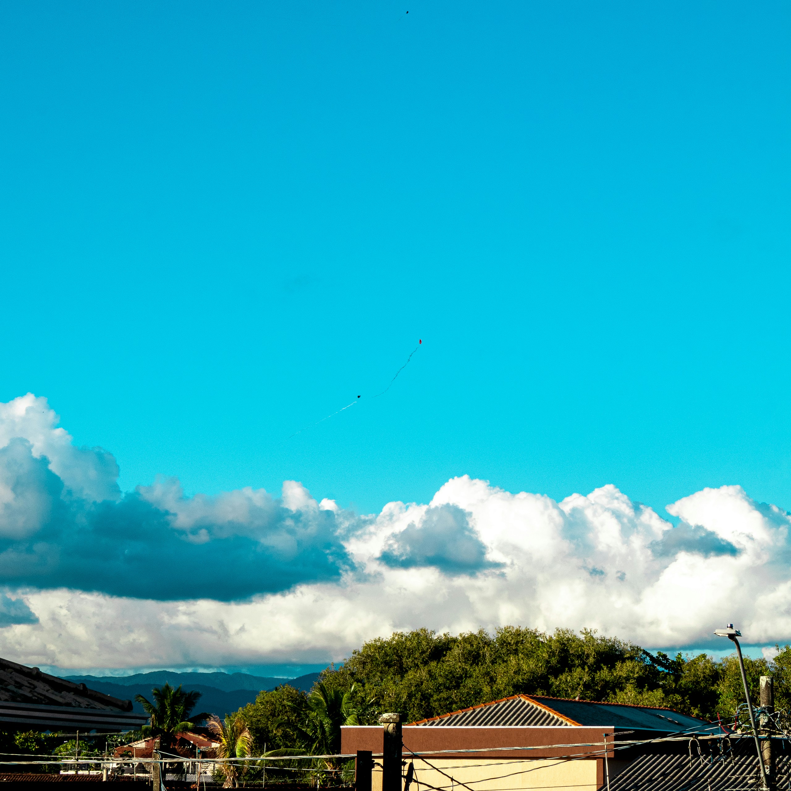 Bright blue sky with fluffy white clouds over trees. photo – Free ...