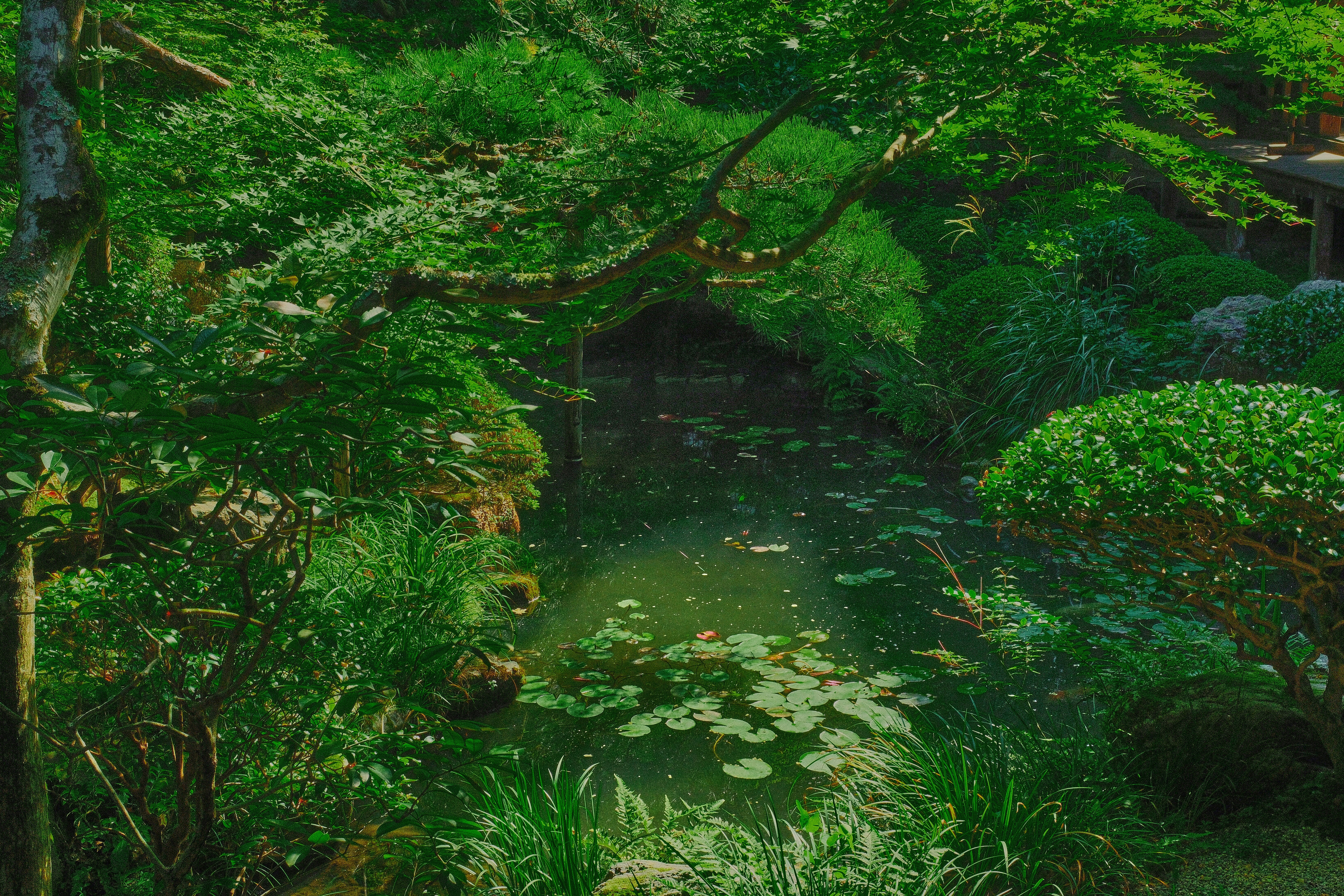 Photo by Leo Gilgamesh with Fujifilm X-T5