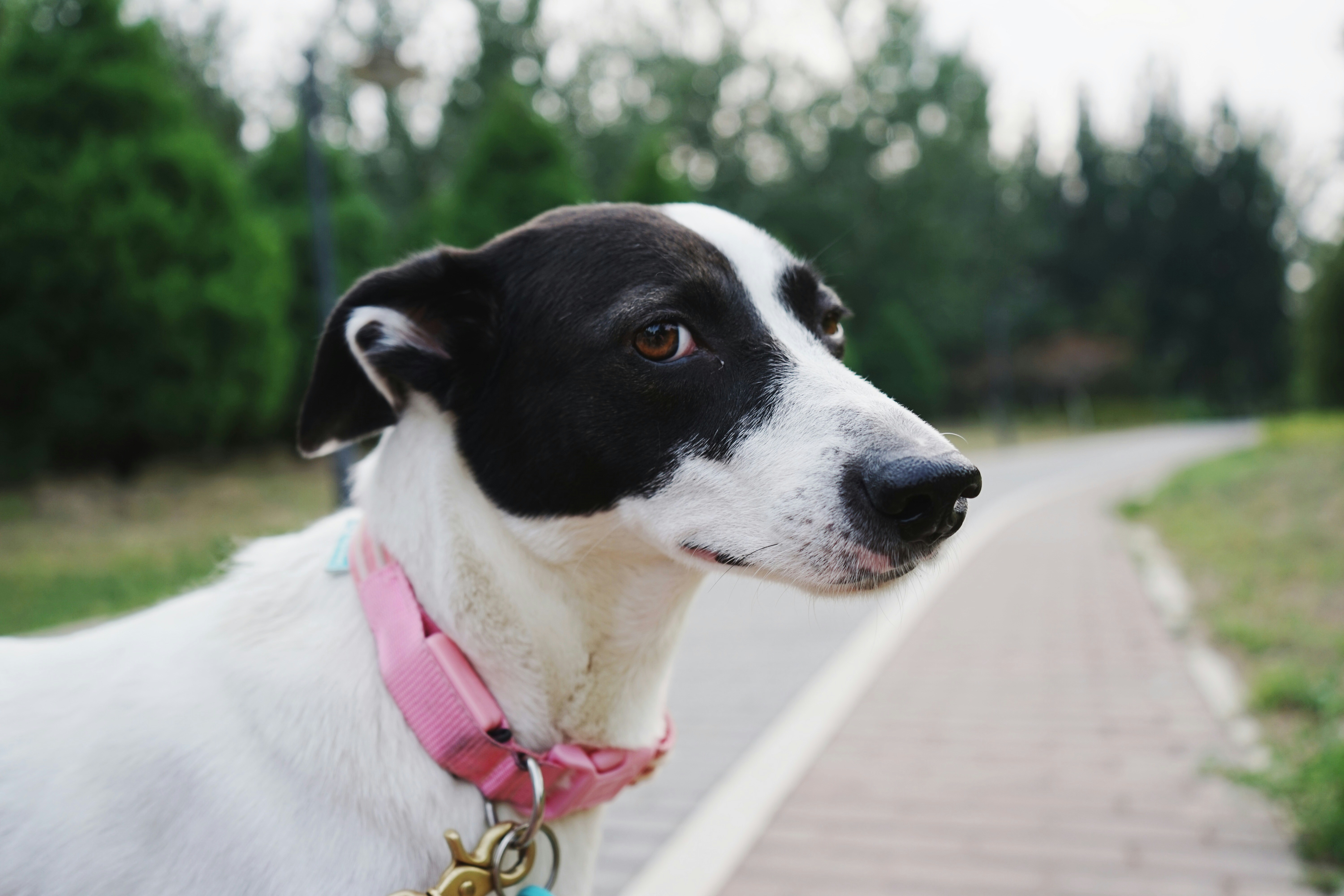 Processed with VSCO with 4 preset