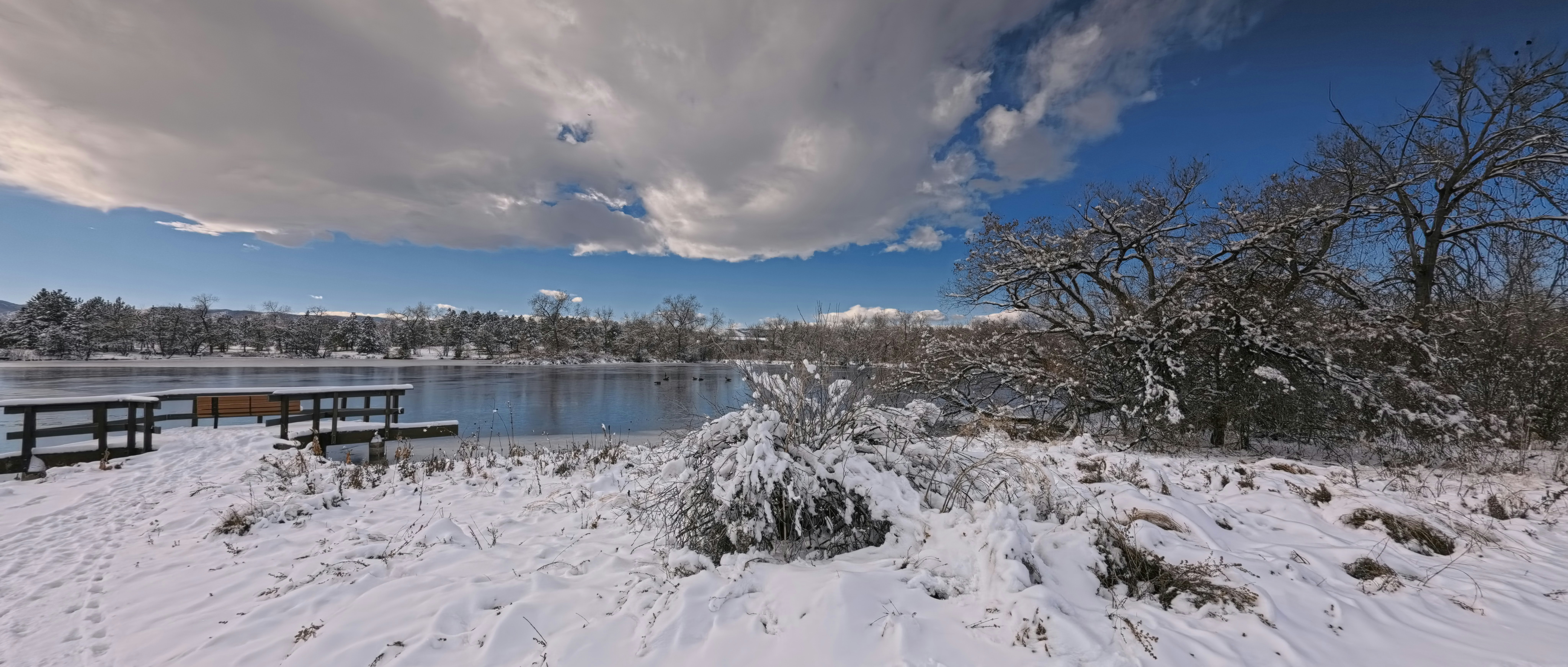 Sample photo from Insta360  Ace Pro 2