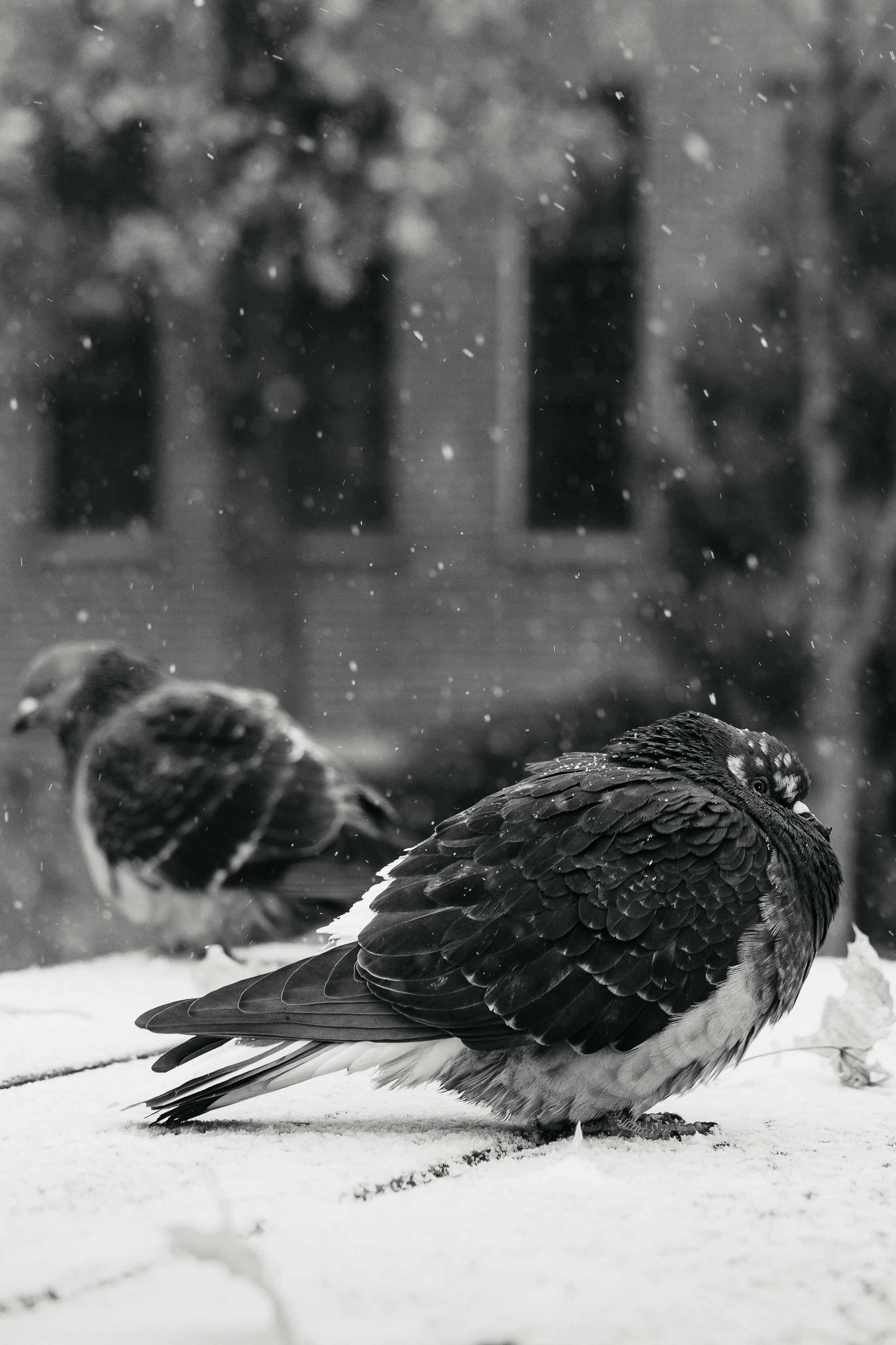 Photo by Deep Doshi with Canon EOS R6