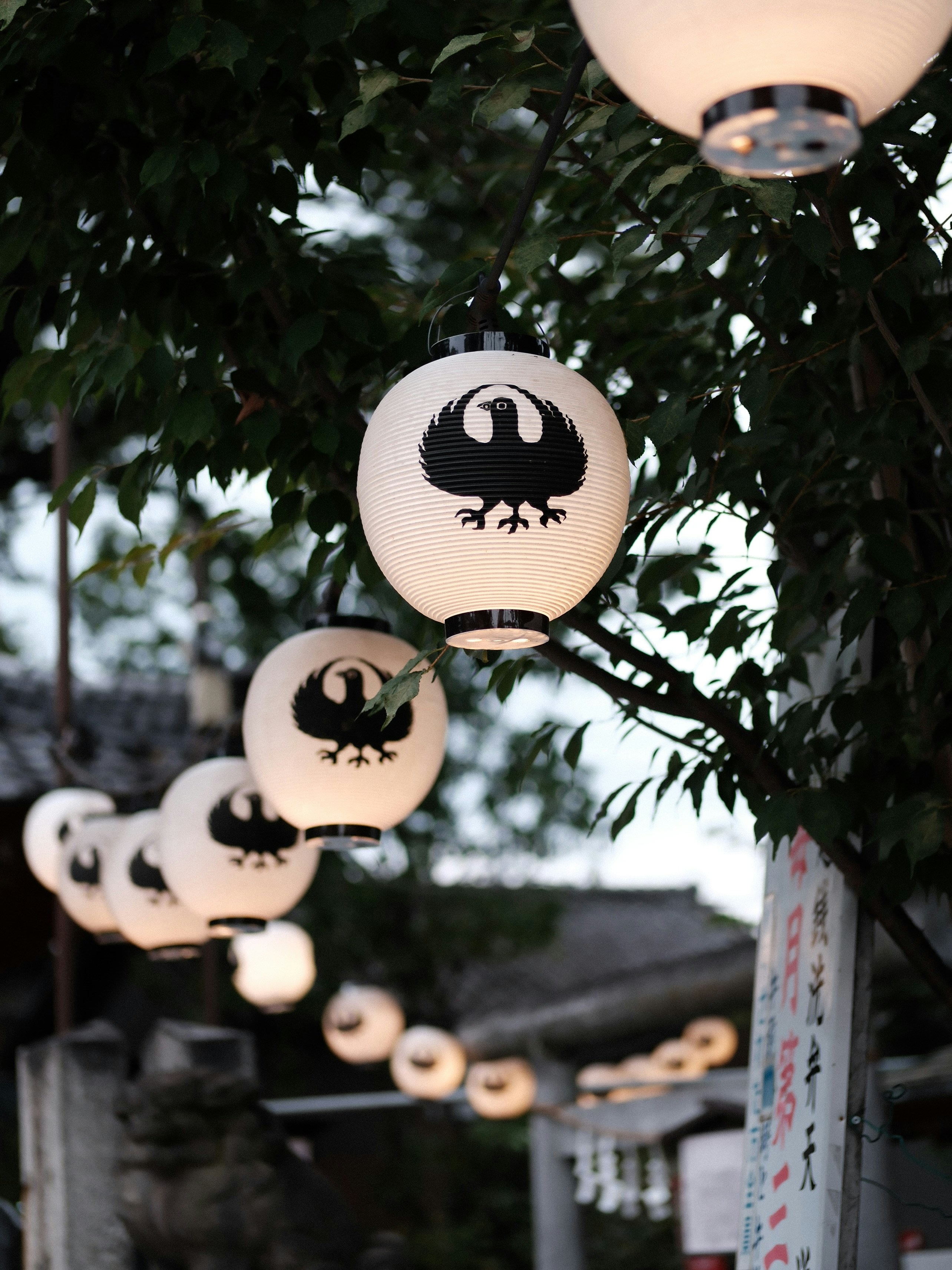Lantern Chorus: A Row of Black Crane Motifs in Soft Evening Light