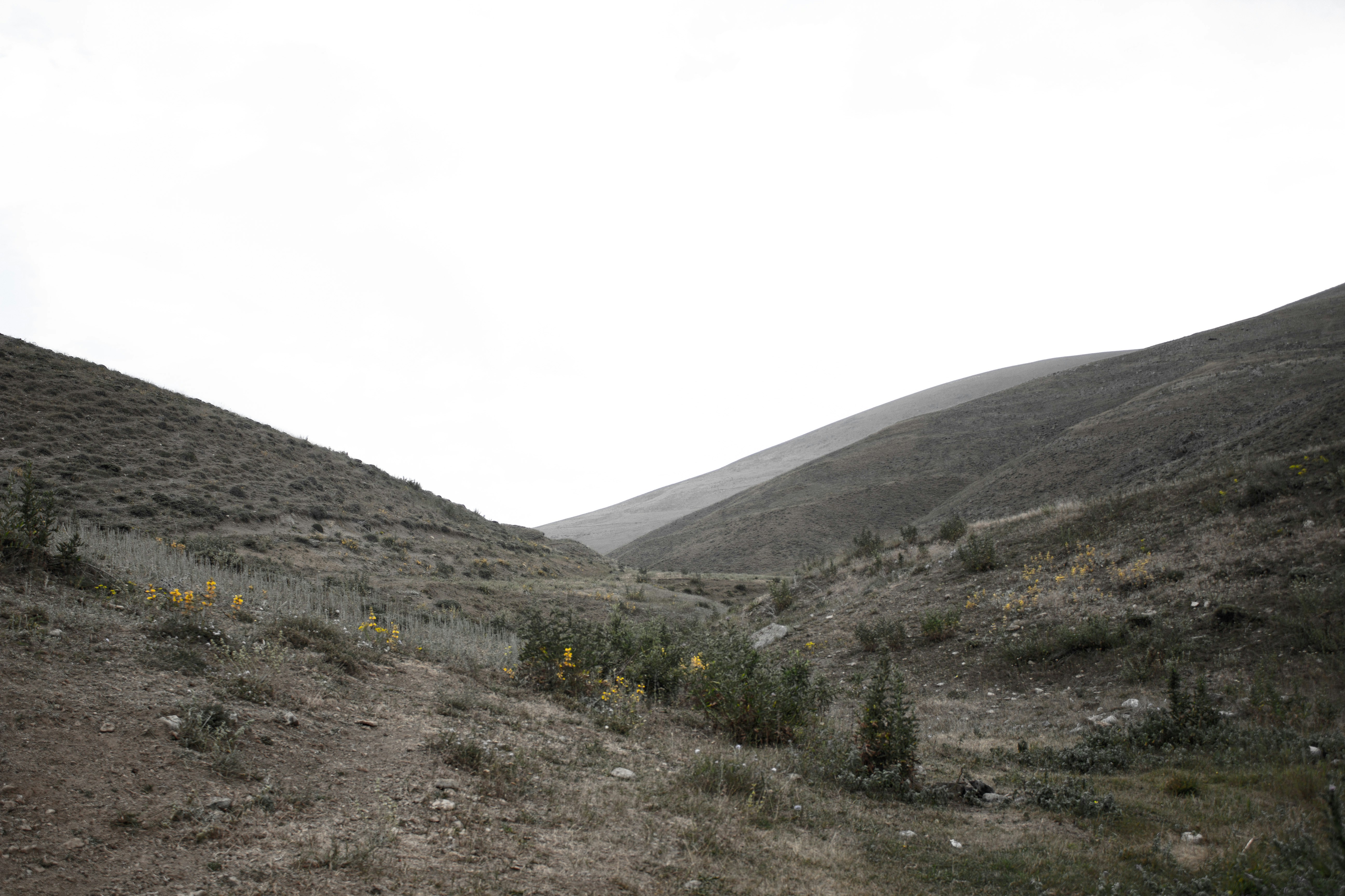 Photo by Elham Abdi with Canon EOS 600D