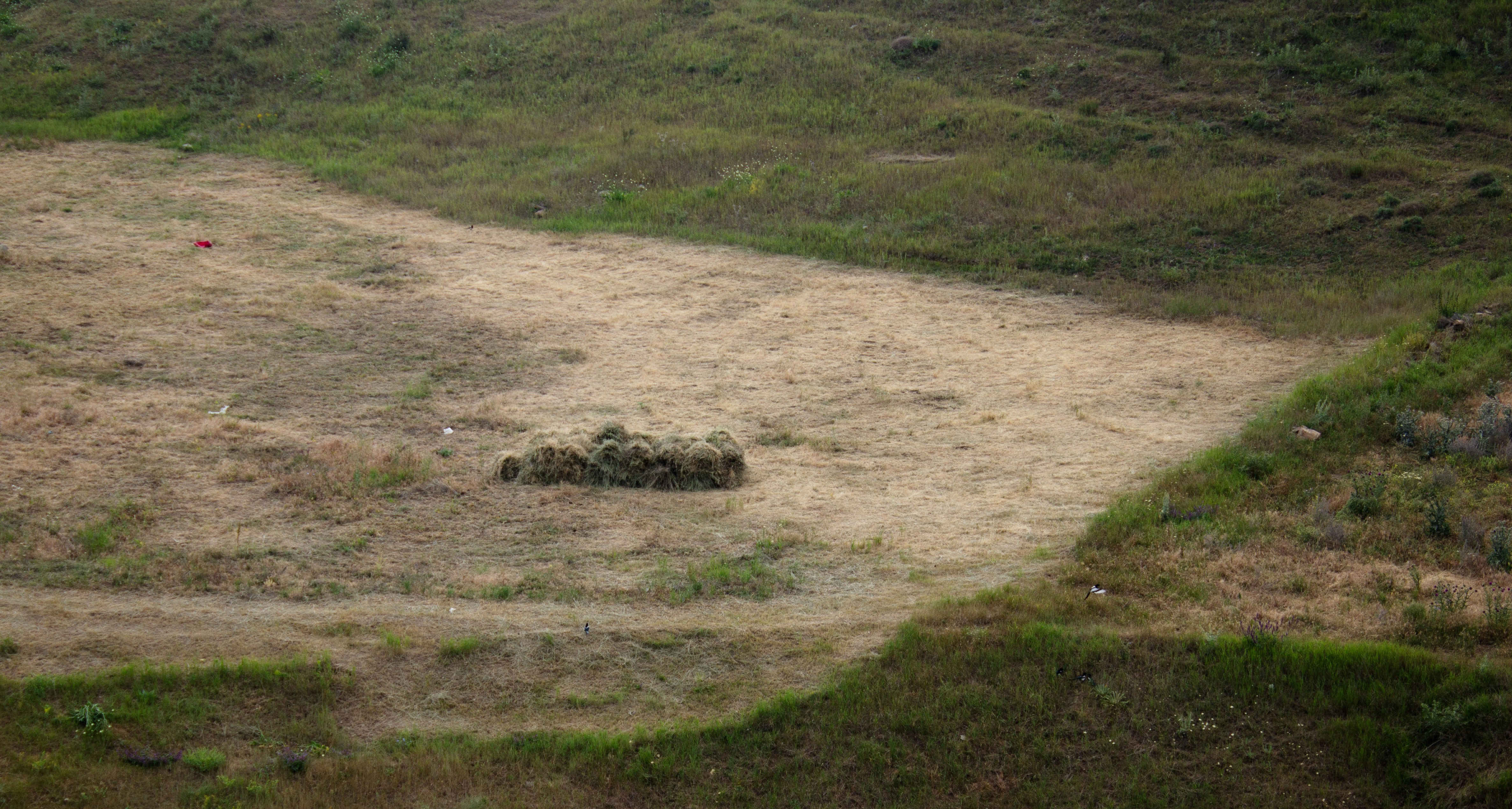 Photo by Elham Abdi with Canon EOS 600D