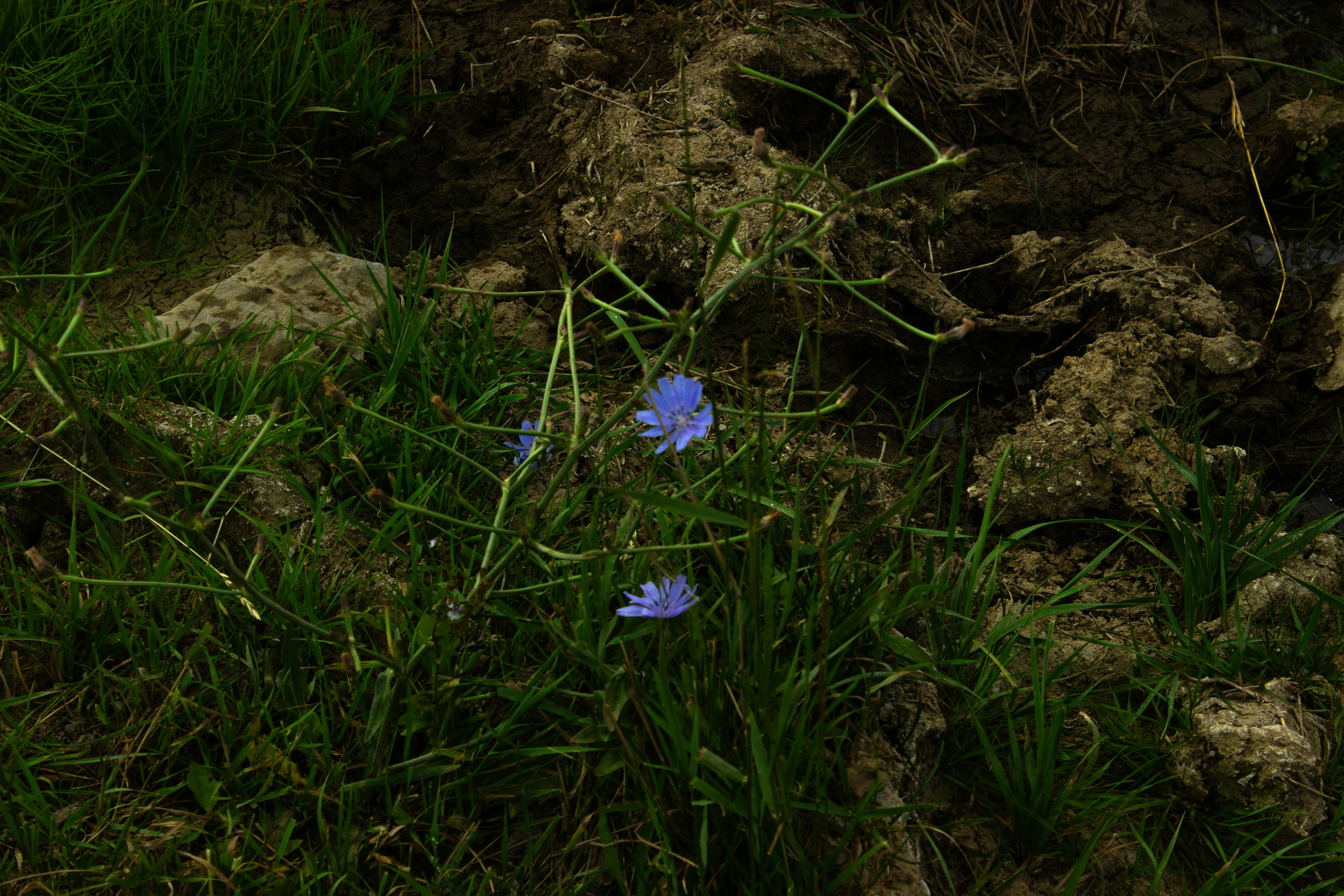 Photo by Elham Abdi with Canon EOS 600D